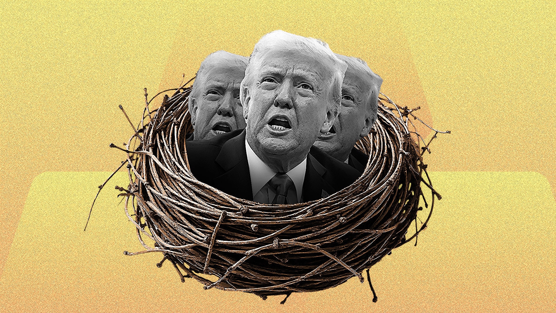 ‘Trump Take Nest Egg’ meme takes on our tanking economy - Fast Company