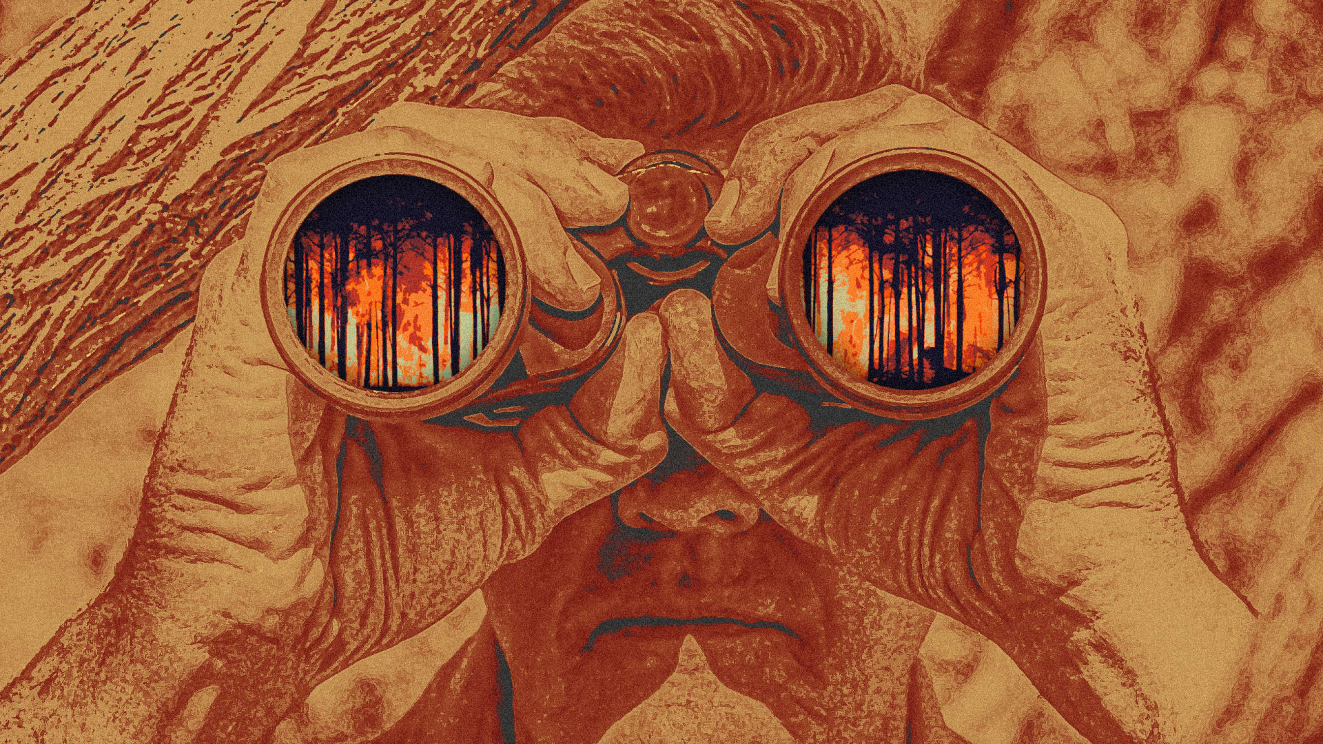 Trump slashed the Forest Service and put a timber exec in charge. It ...