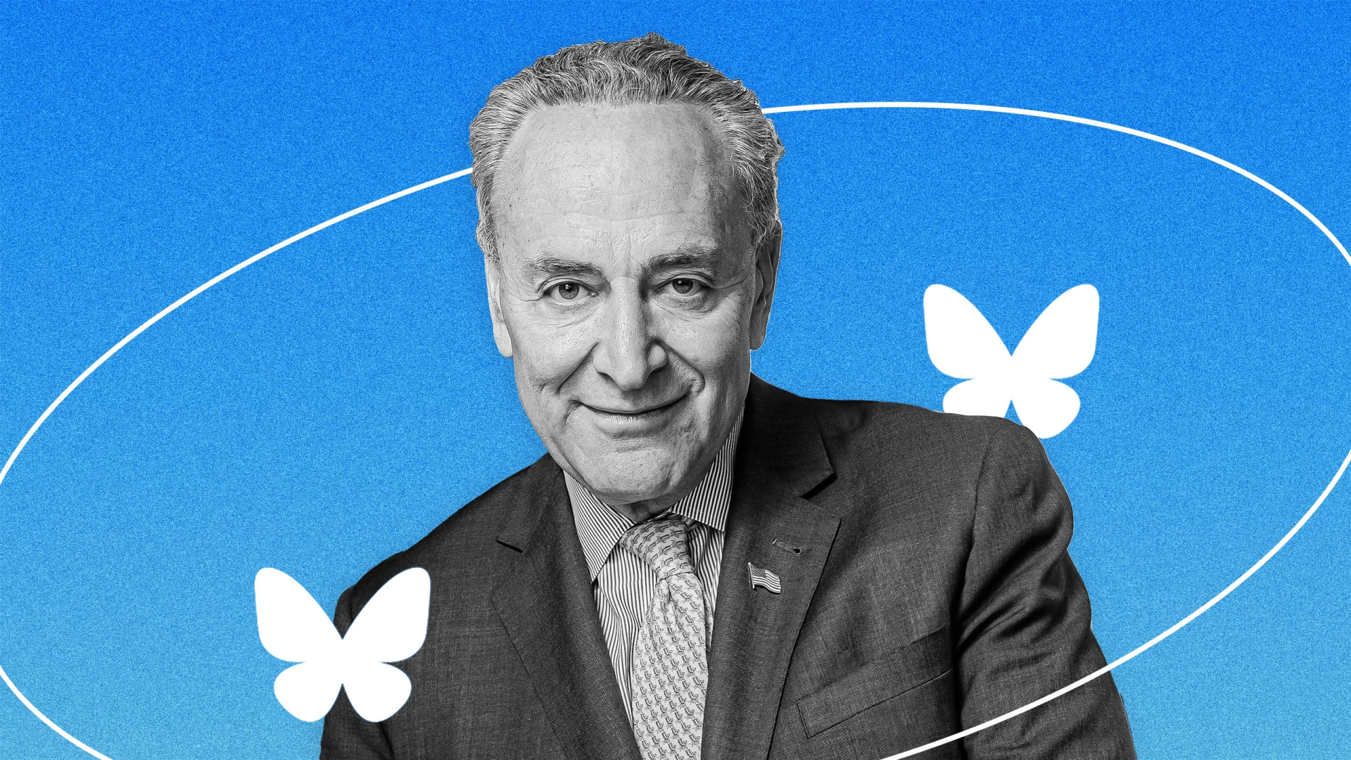 Chuck Schumer memes, furious Bluesky, and postponed book tour - Fast ...