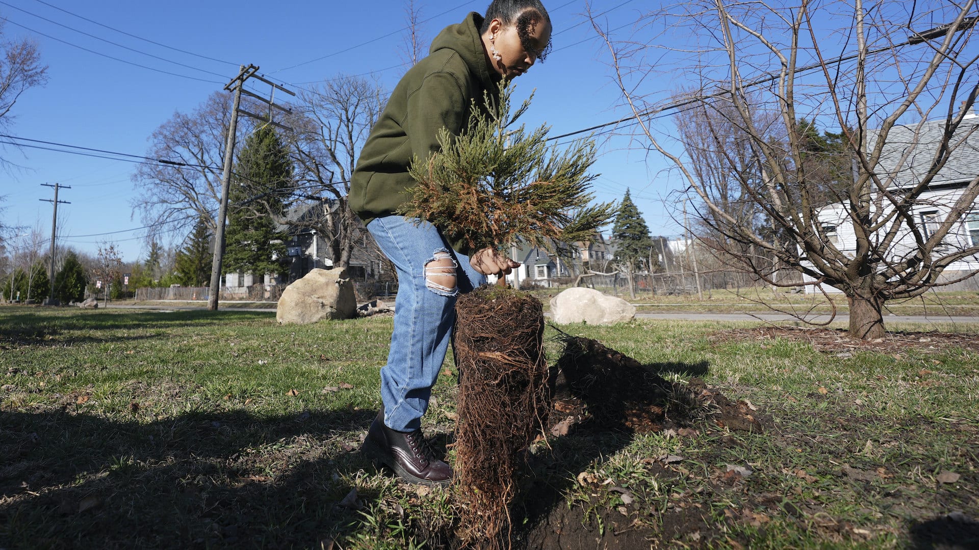 Earth Day 2025: Detroit plants sequoias for clean air, reforestation ...