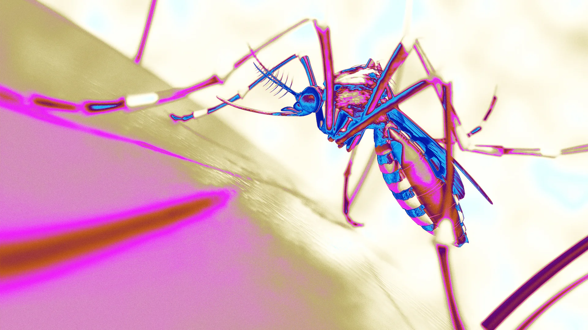 Trump slashed health funding—right as a deadly mosquito-borne disease ...