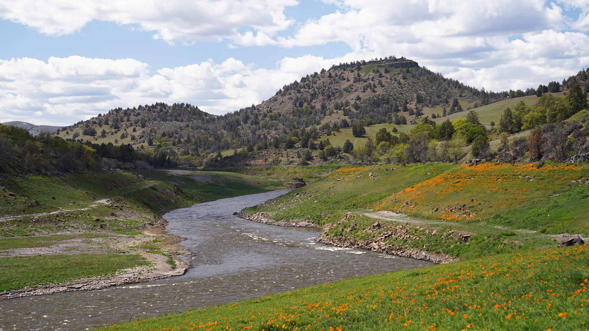 These stunning photos show how nature came back after the world’s ...