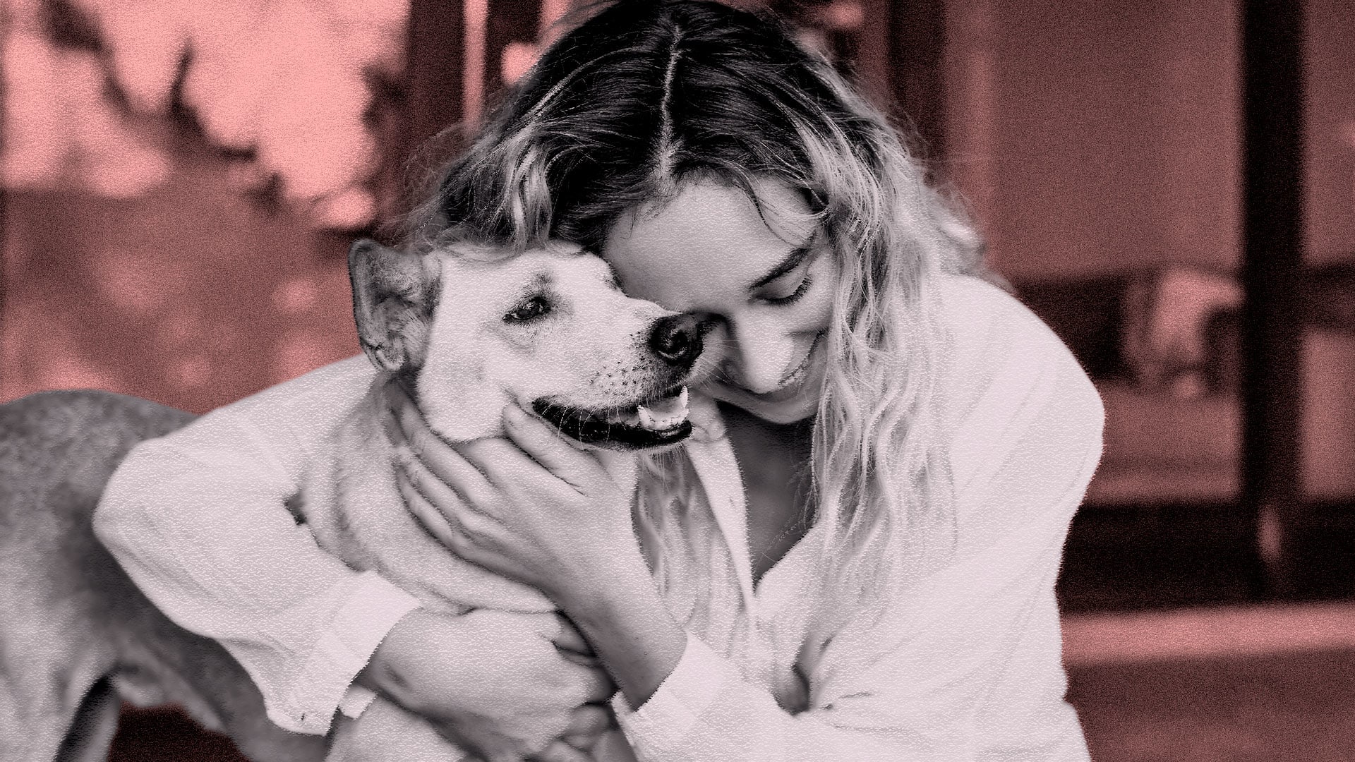 Mars and Calm team up for pet-inspired mental health content - Fast Company