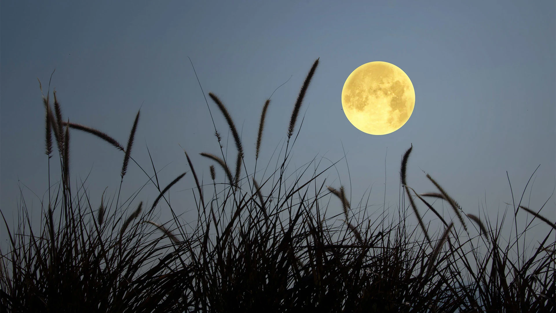 Flower moon tonight: When to see May 2025 full moon, best time - Fast ...