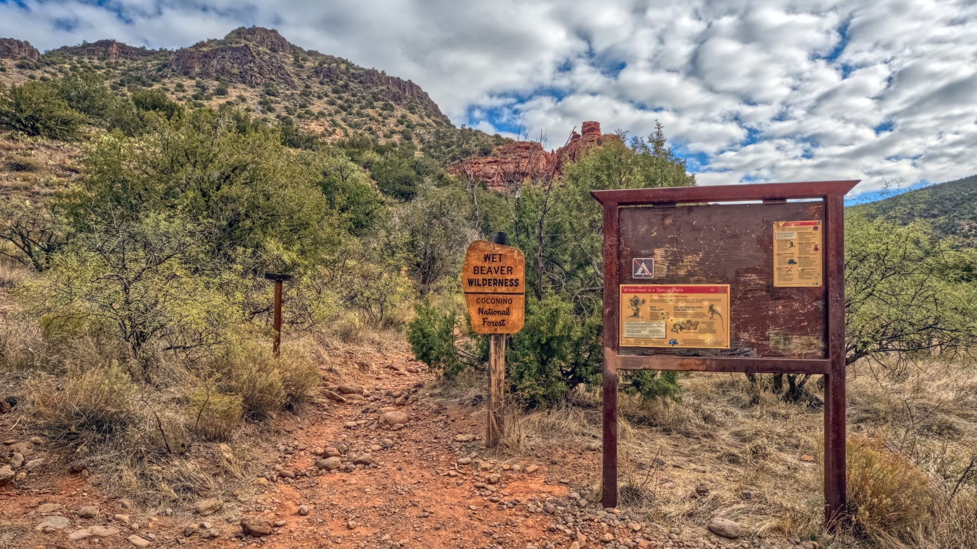 The Wilderness Letter is a reminder that nature shaped America's ...