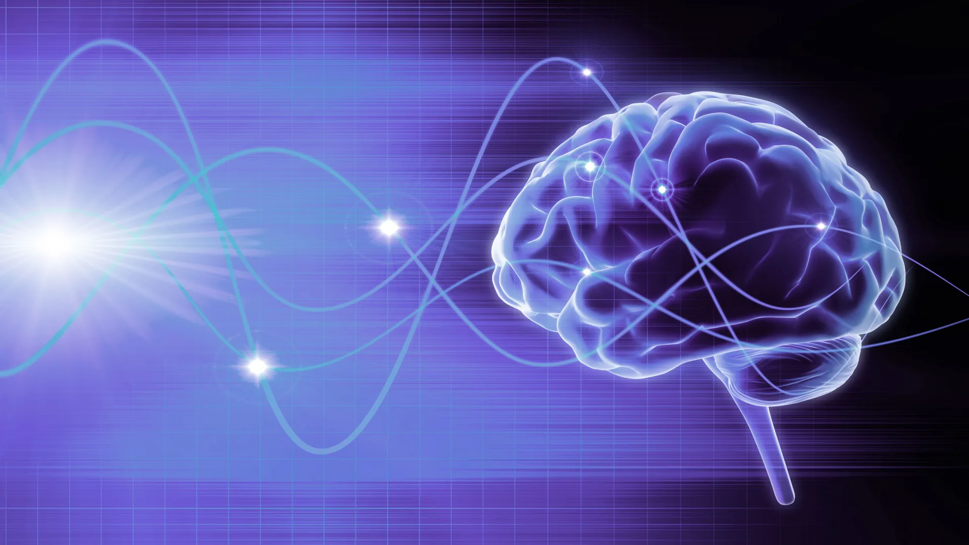 5 facts about the brain to improve your decision-making skills - Fast ...