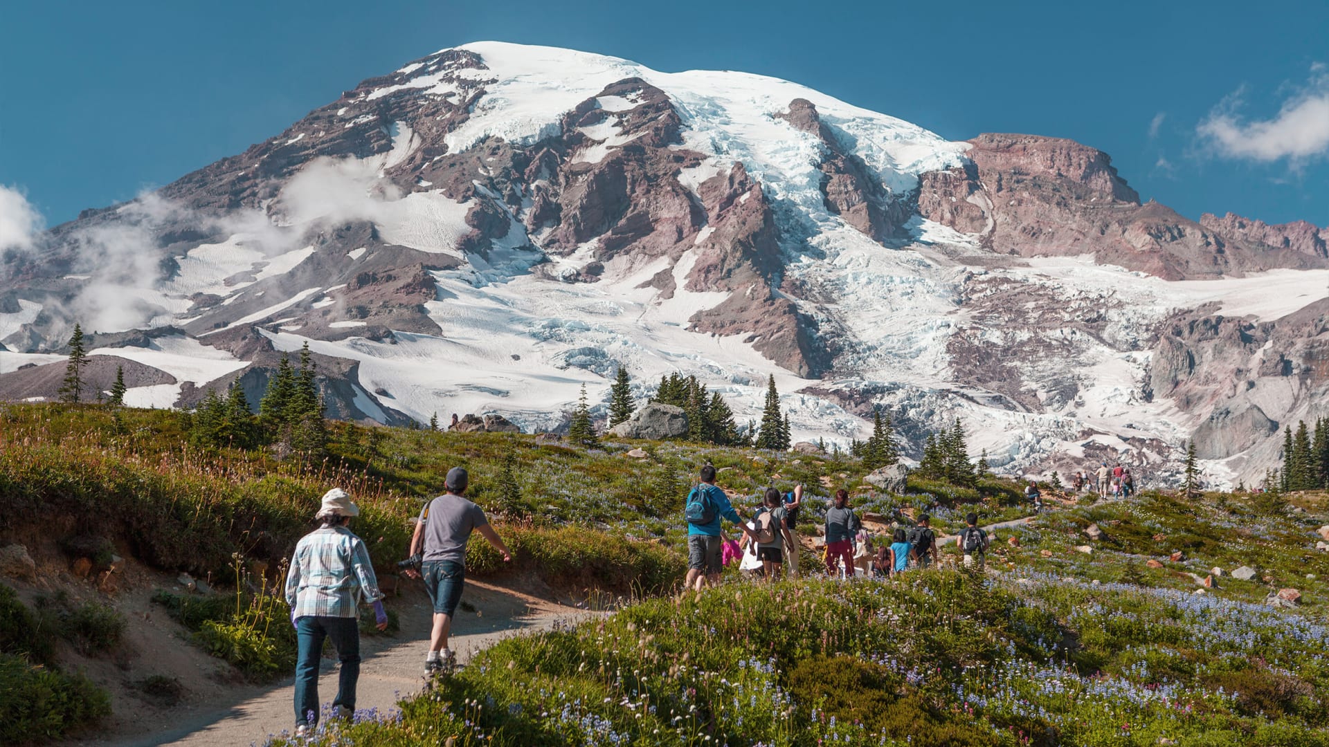 Trump wants to defund national parks—but they have overwhelming ...