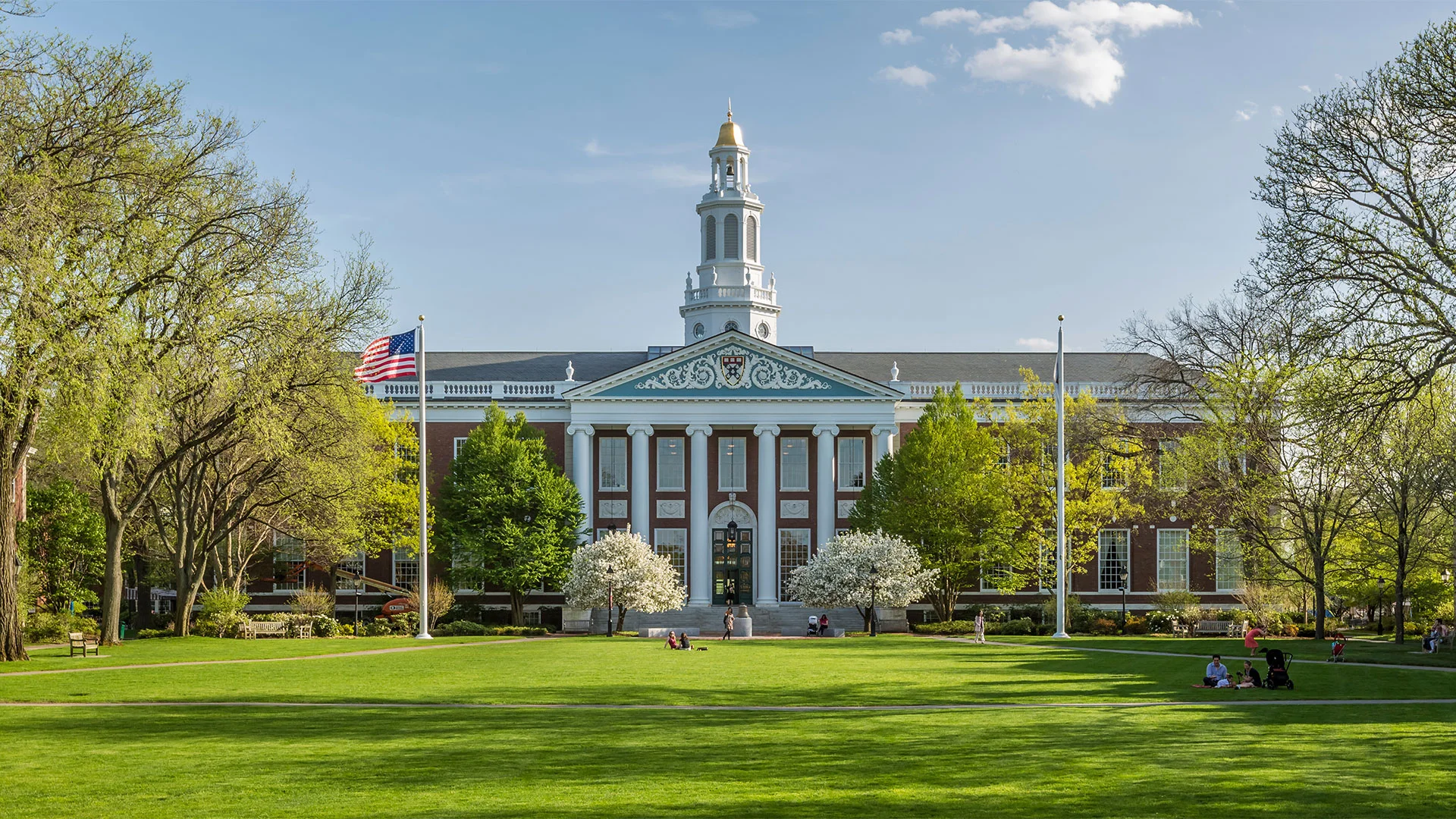 Harvard wins first round in court over international student ban - Fast ...