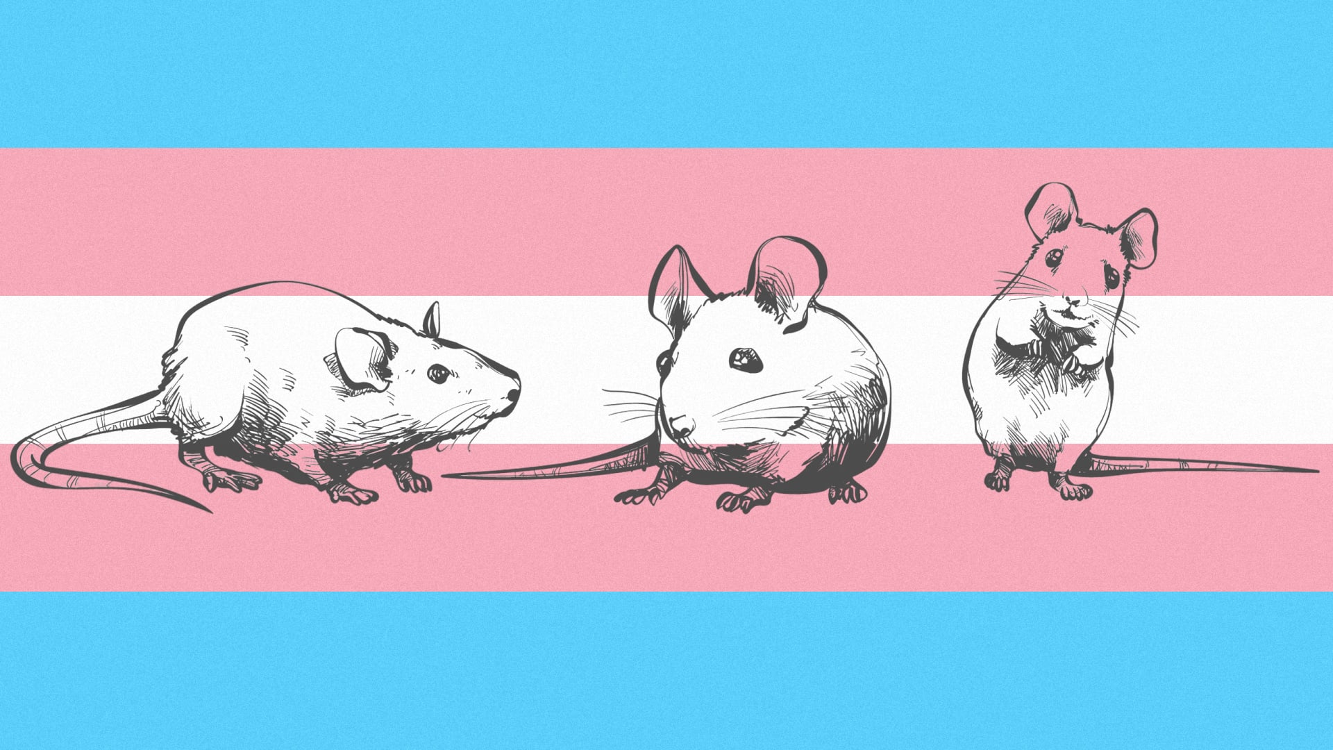 The health research Trump really cut when he joked about defunding ...