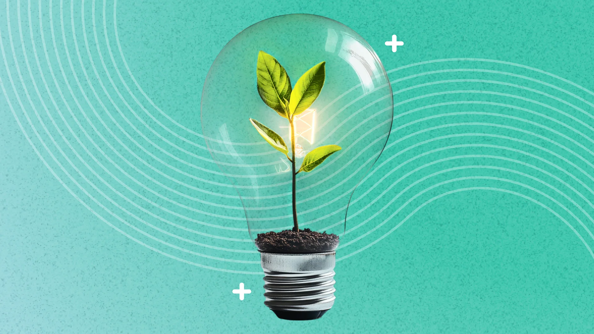 Unlocking the potential of renewable energy for a sustainable future