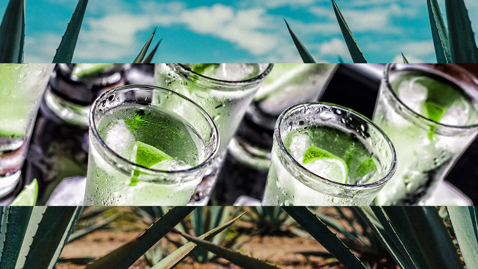 National Tequila Day 2025: deals today, history of Mexican liquor ...