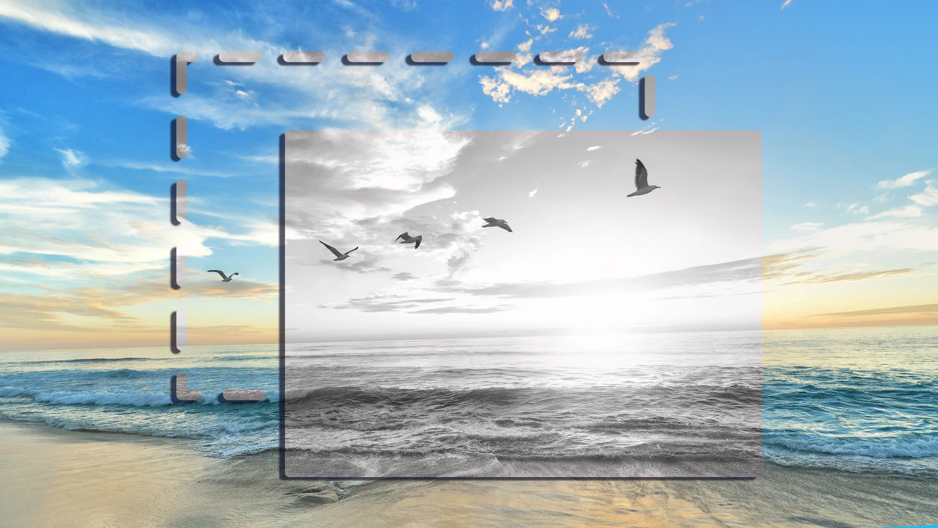 This photo-tweaking time-saver is a perfect Google Photos power-up ...