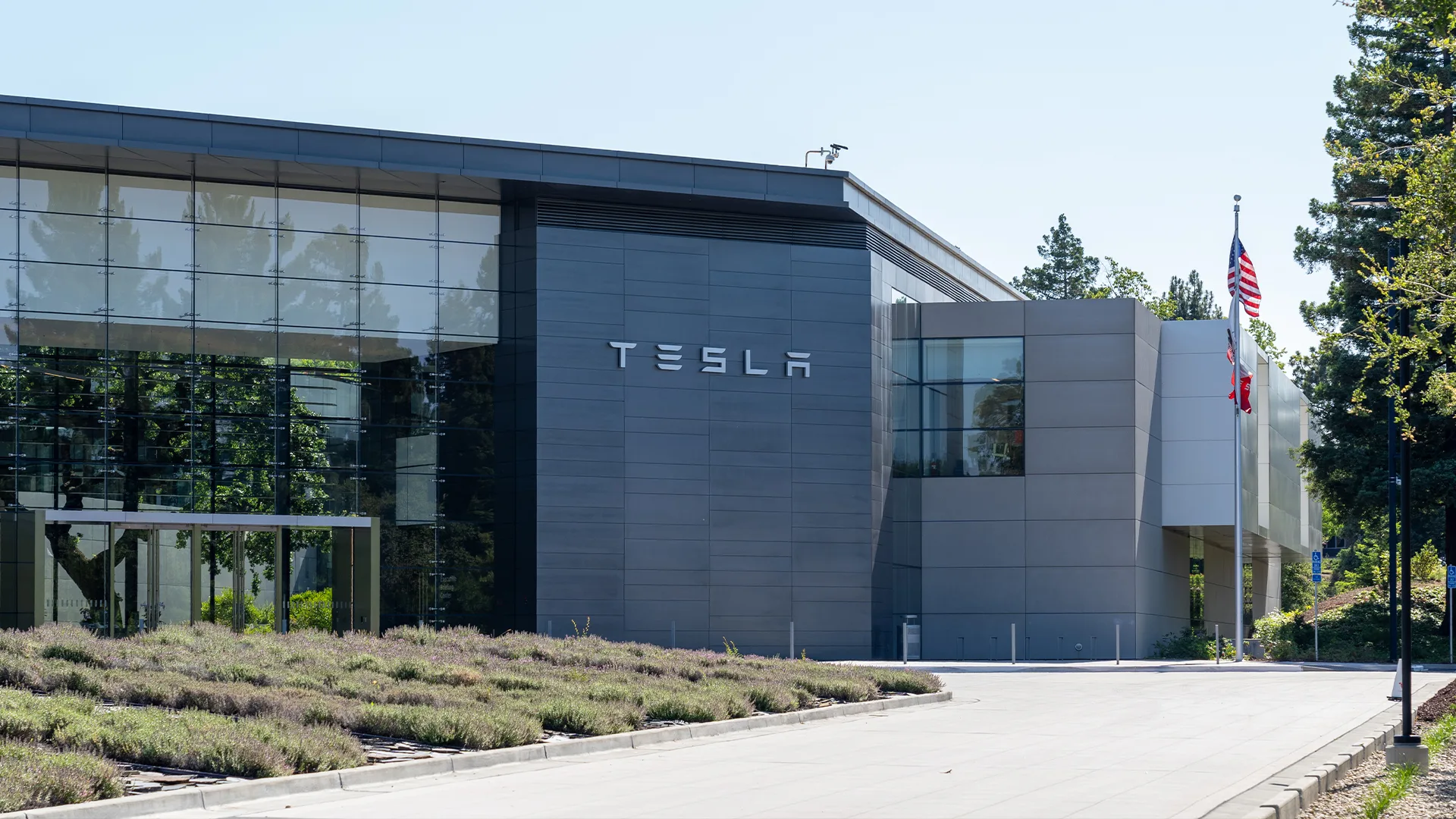 Tesla sued by Cybertruck crash victim family: Are truck doors safe ...