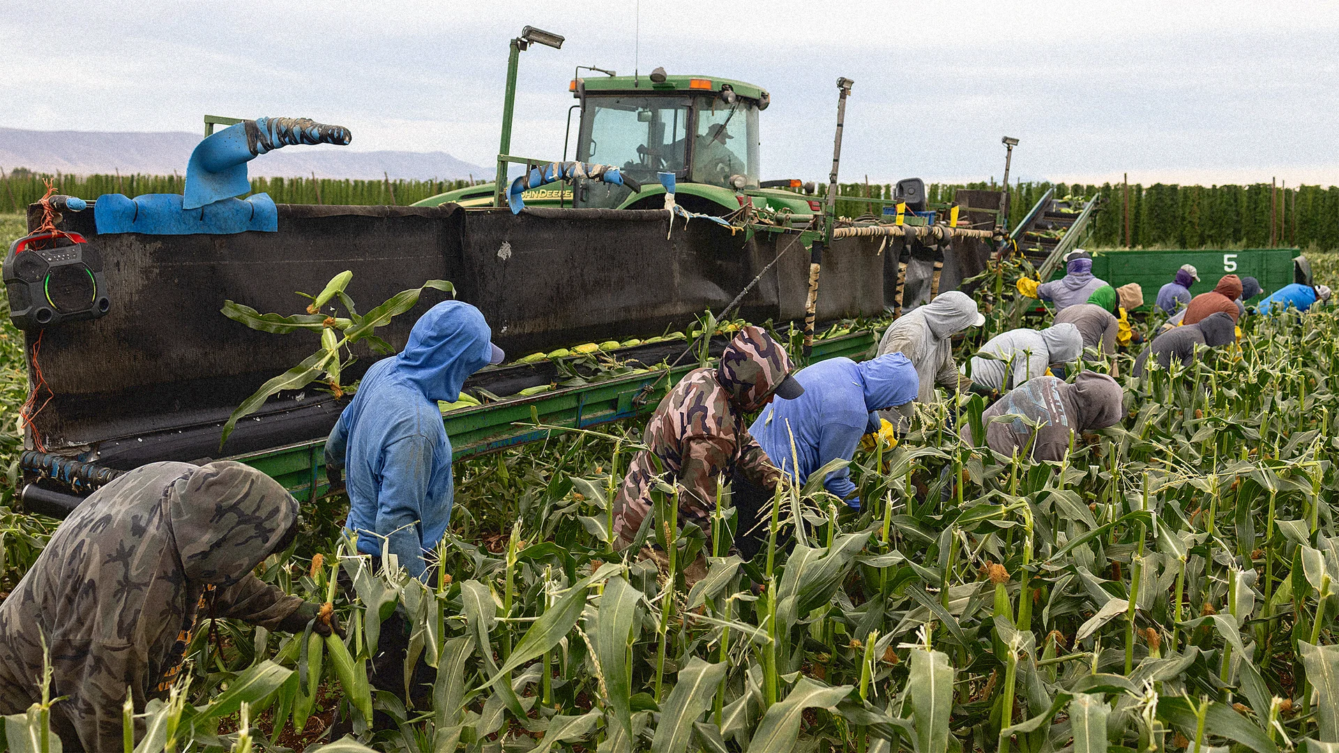 Trump's Labor Department says Trump's mass deportations pose ‘immediate ...