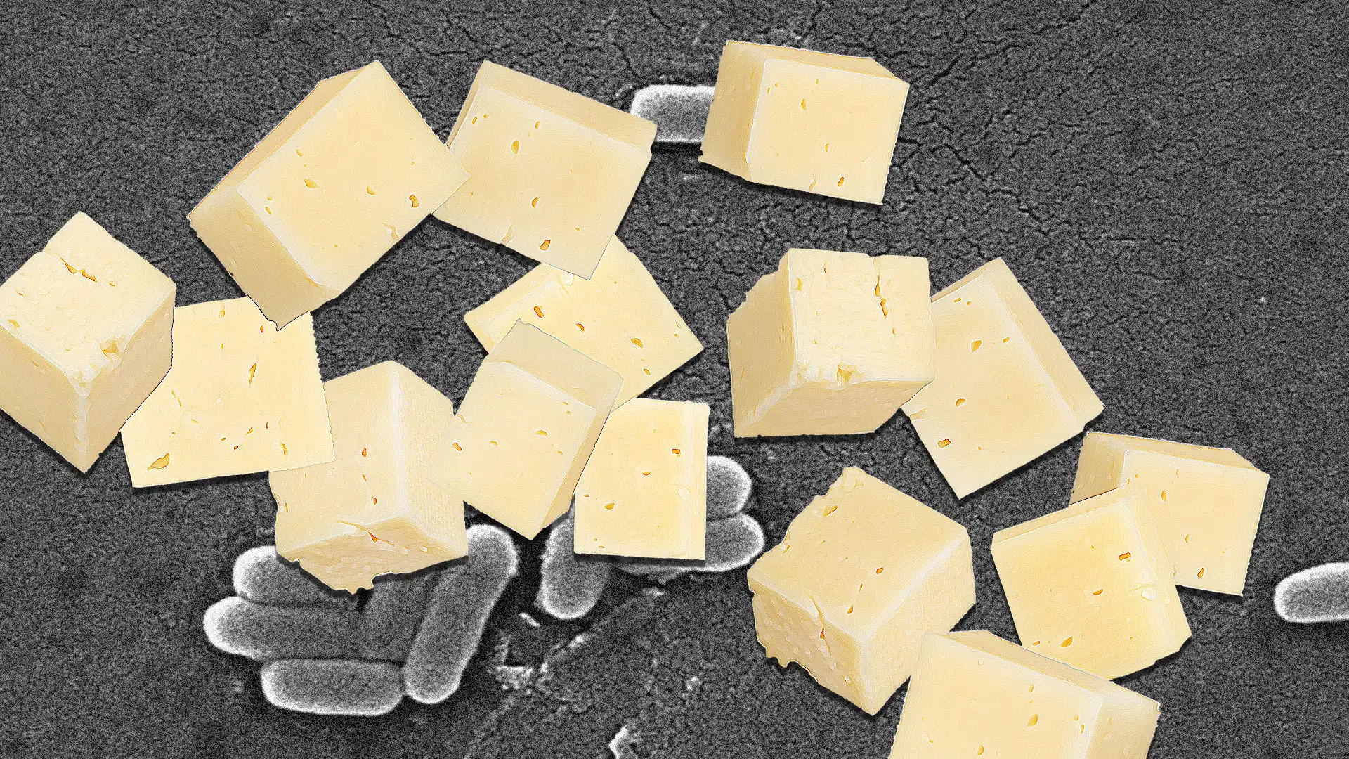 Raw milk cheese recalled after outbreak of E. coli infections in two ...