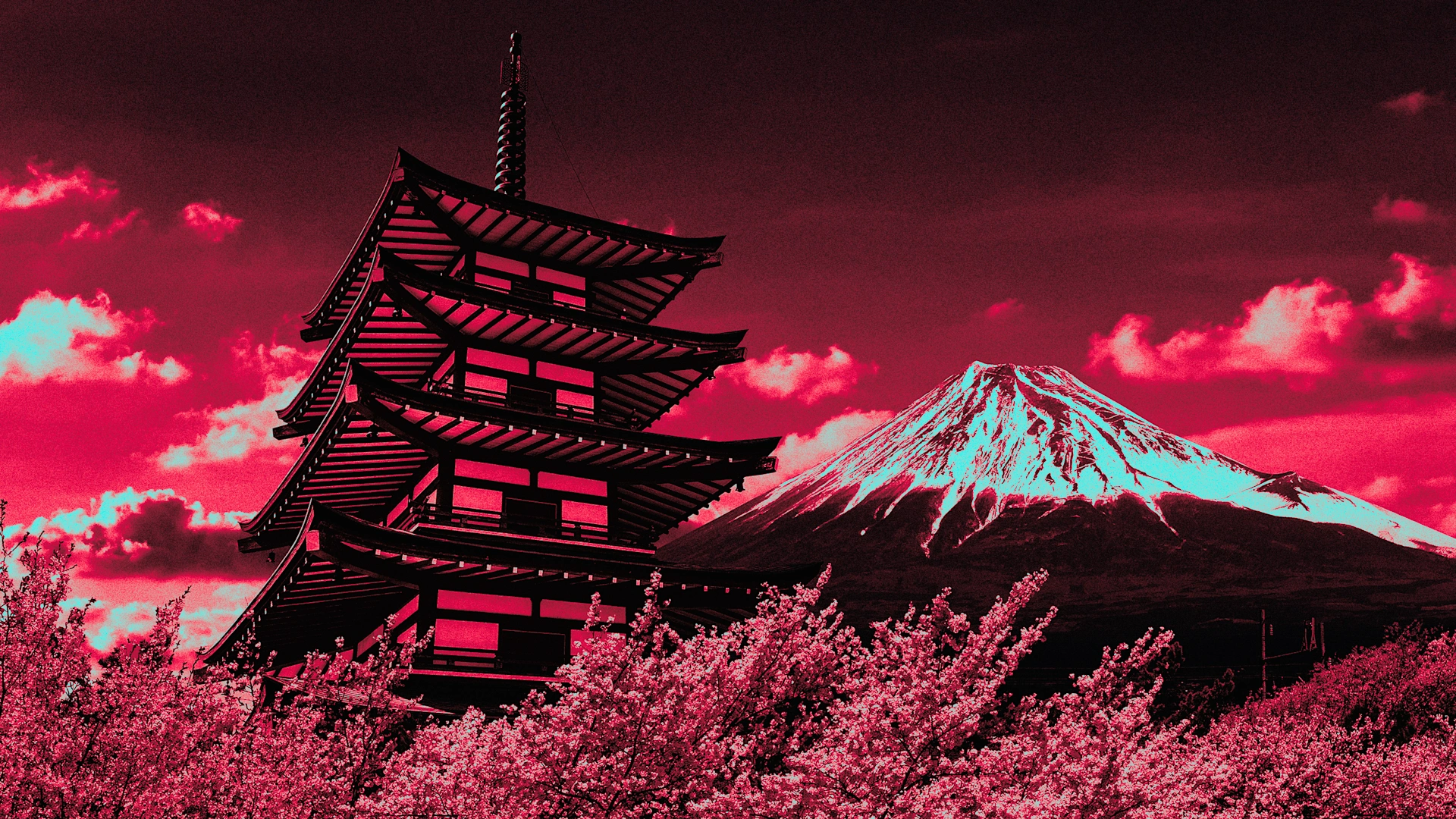 TikTokers are experiencing the 'Japan effect' - Fast Company