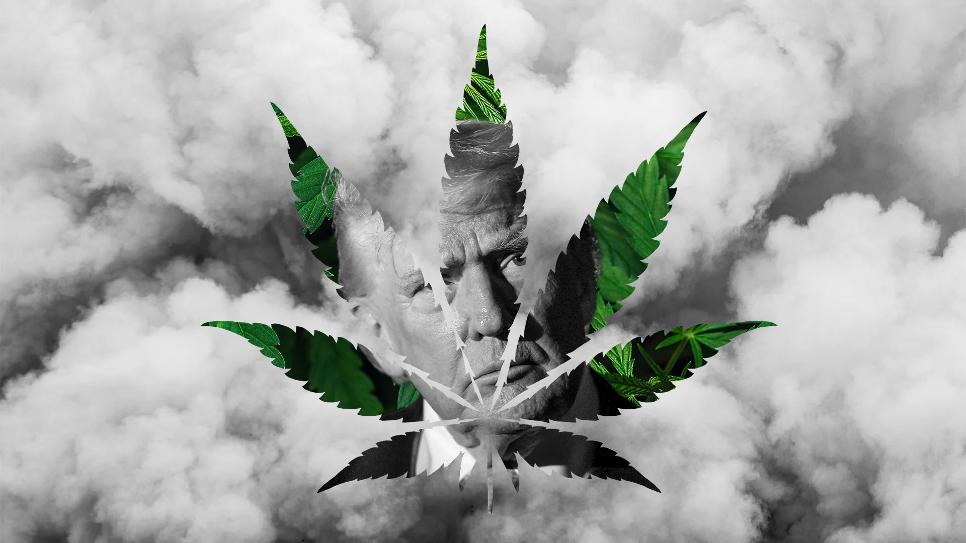 Cannabis stocks get higher on Trump marijuana Schedule 3 rumor - Fast ...