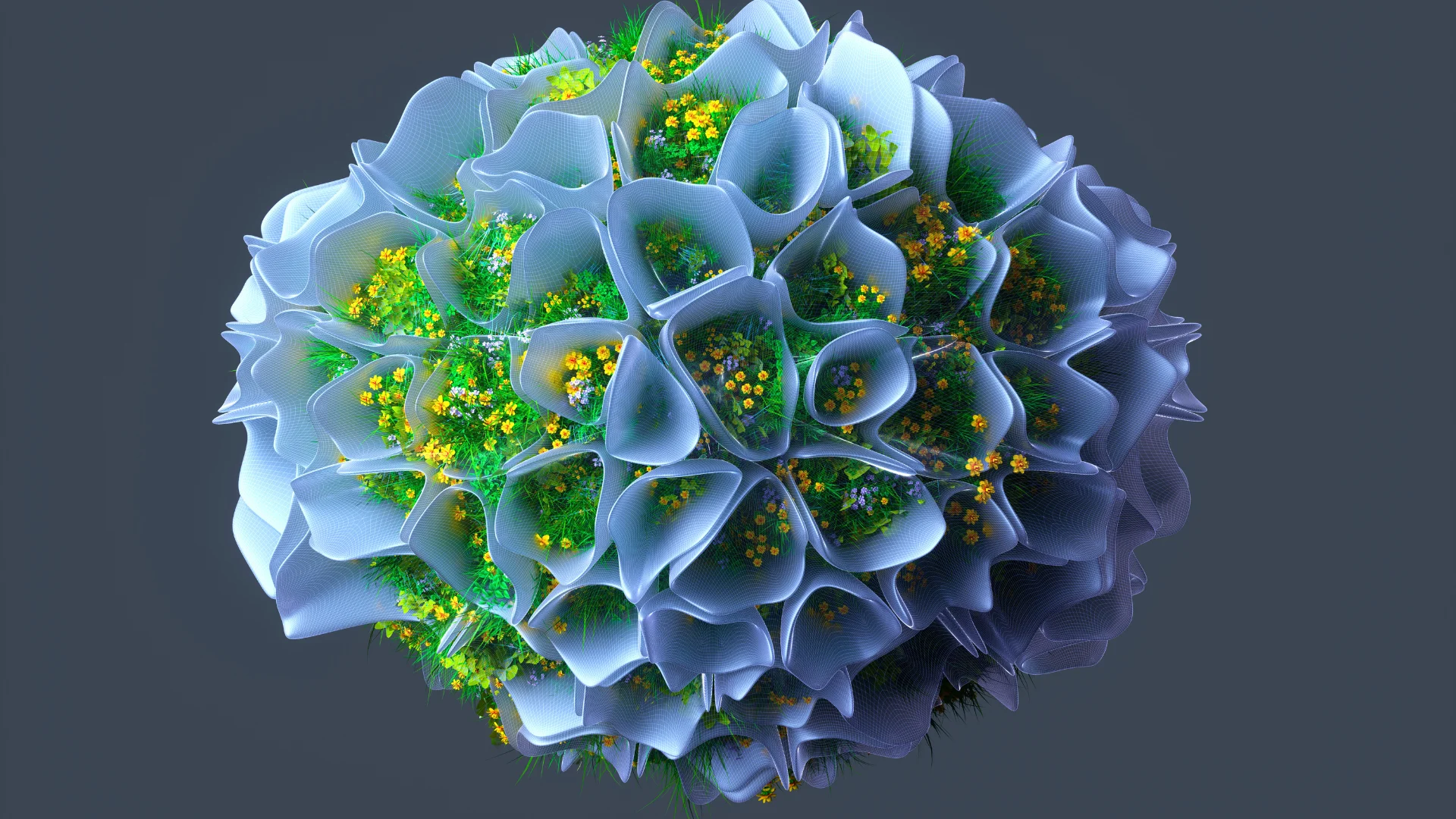 Why investors and farmers are betting on organic agriculture - Fast Company