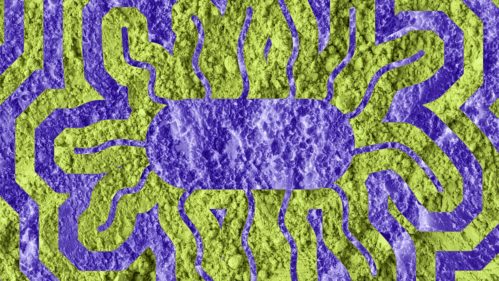 Dietary supplements recalled after salmonella outbreak sickens dozens ...