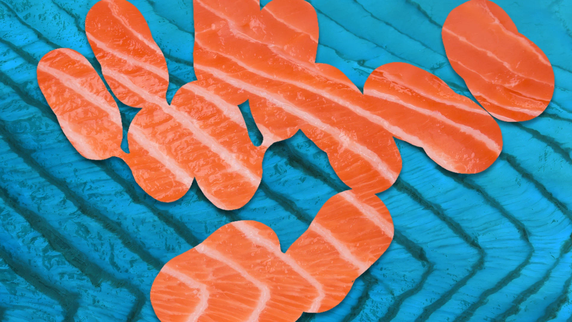 Frozen salmon Listeria recall 2026: BJ's Wholesale Club sold fish ...