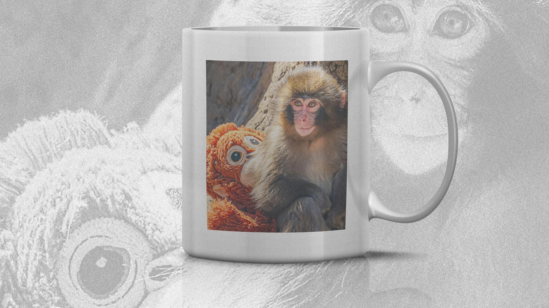 Punch monkey stuffed orangutan merch: toys, cups, books, go viral ...