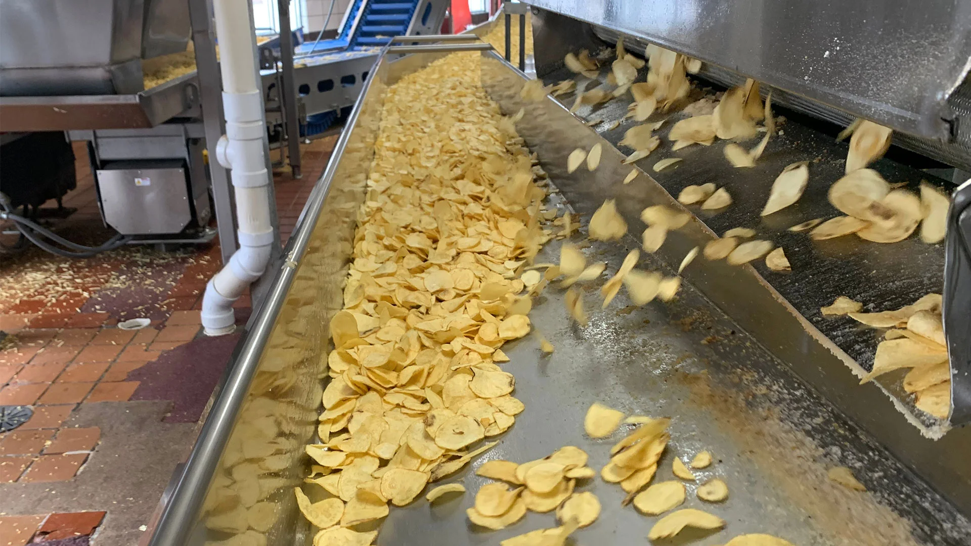 Why the search for the perfect potato breed for chips is ongoing - Fast ...