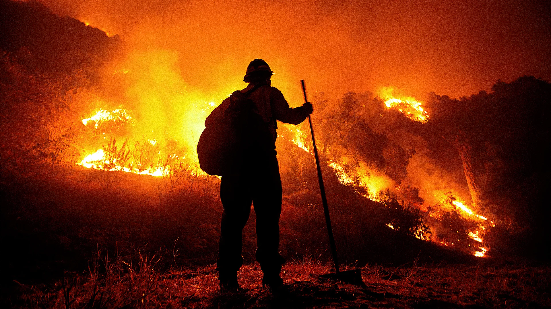 U.S. Forest Service closing research facilities: What it means for ...