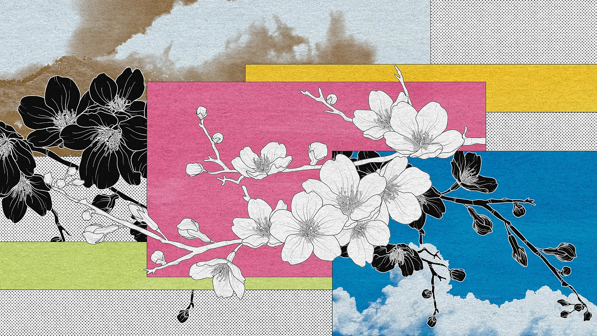 Japan cherry blossom season: Beautiful bloom faces ugly threat - Fast ...