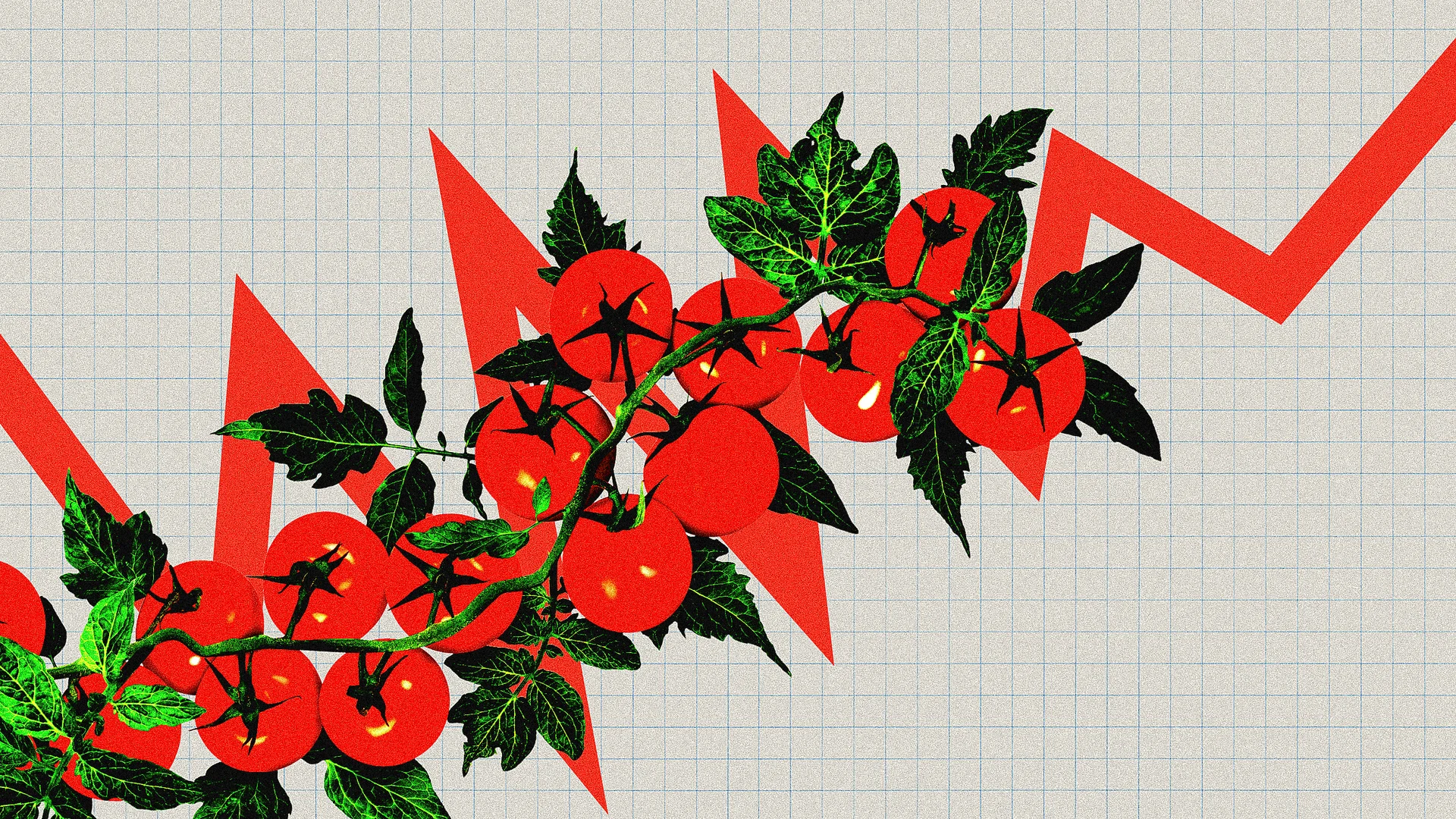 Tomato inflation: Why are prices so high? 'Tomatoflation' explained ...
