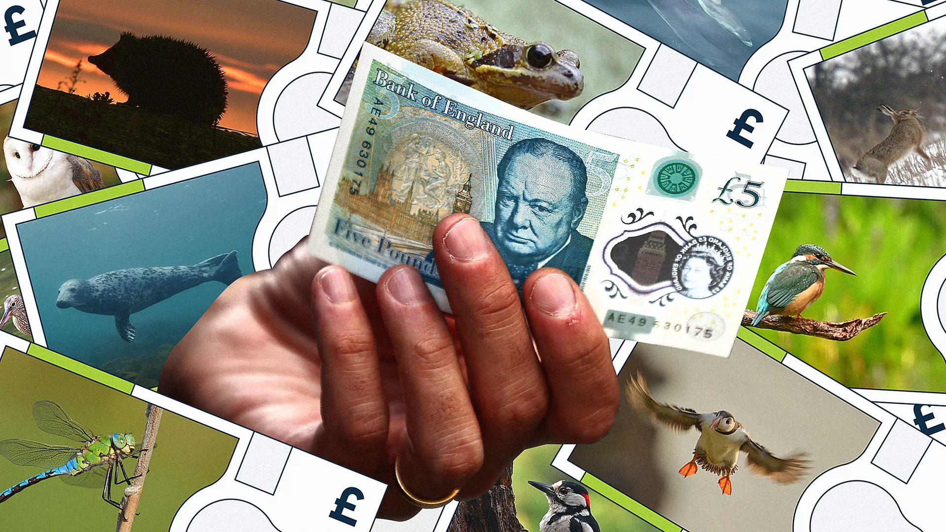 The U.K.'s next banknotes might feature cute foxes and prismatic ...