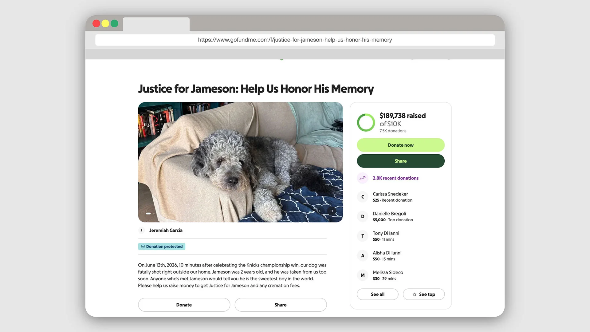 GoFundMe for Jameson, dog shot by LAPD, is confirmed authentic - Fast ...