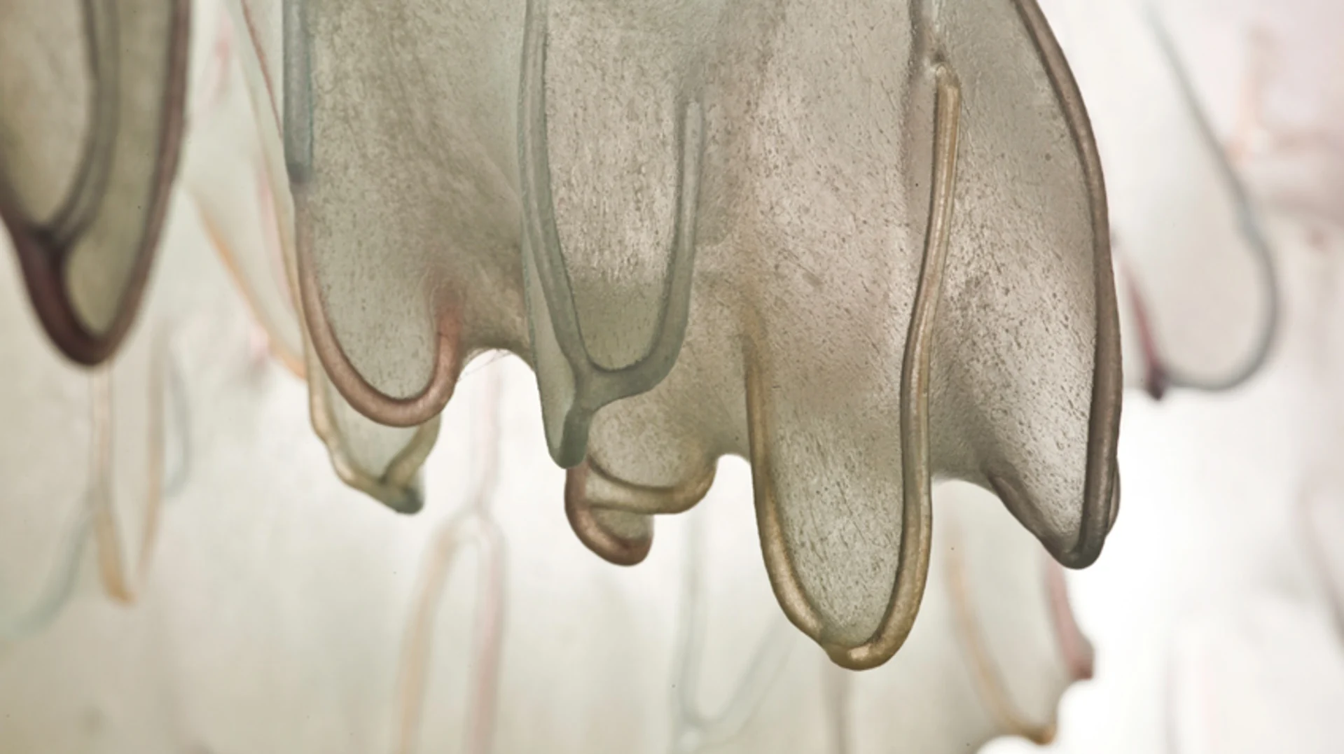 Light Sculptures That Look Like Glowing Cocoons - Fast Company