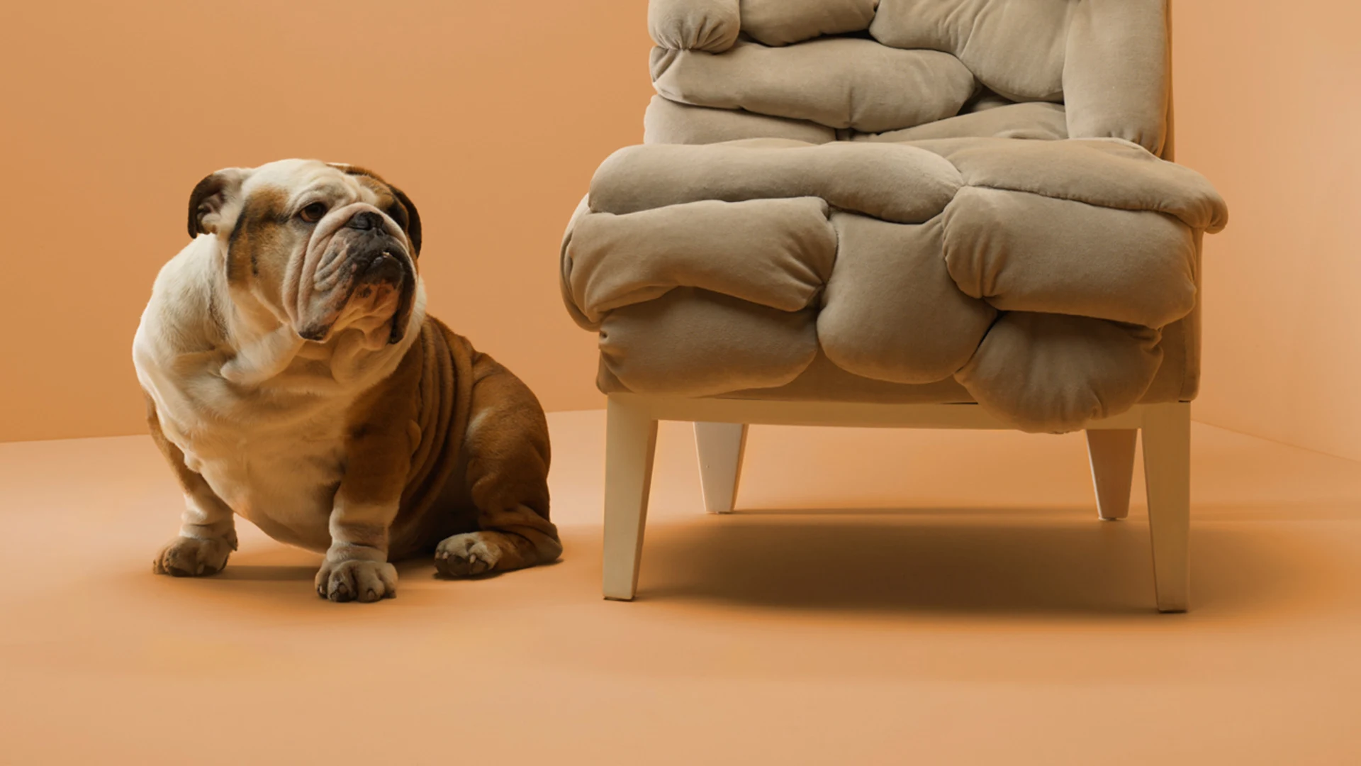 10 Objects Designed To Tug At Your Emotions - Fast Company