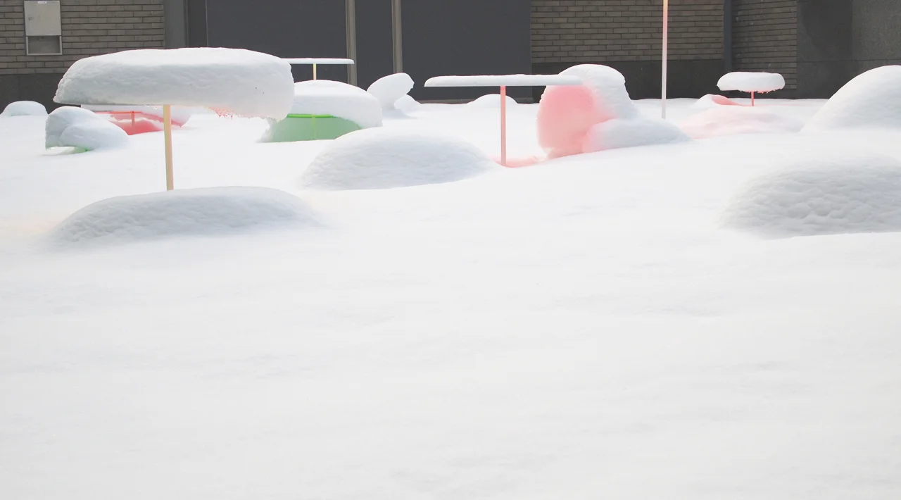 Snow Pallet 2 - Fast Company