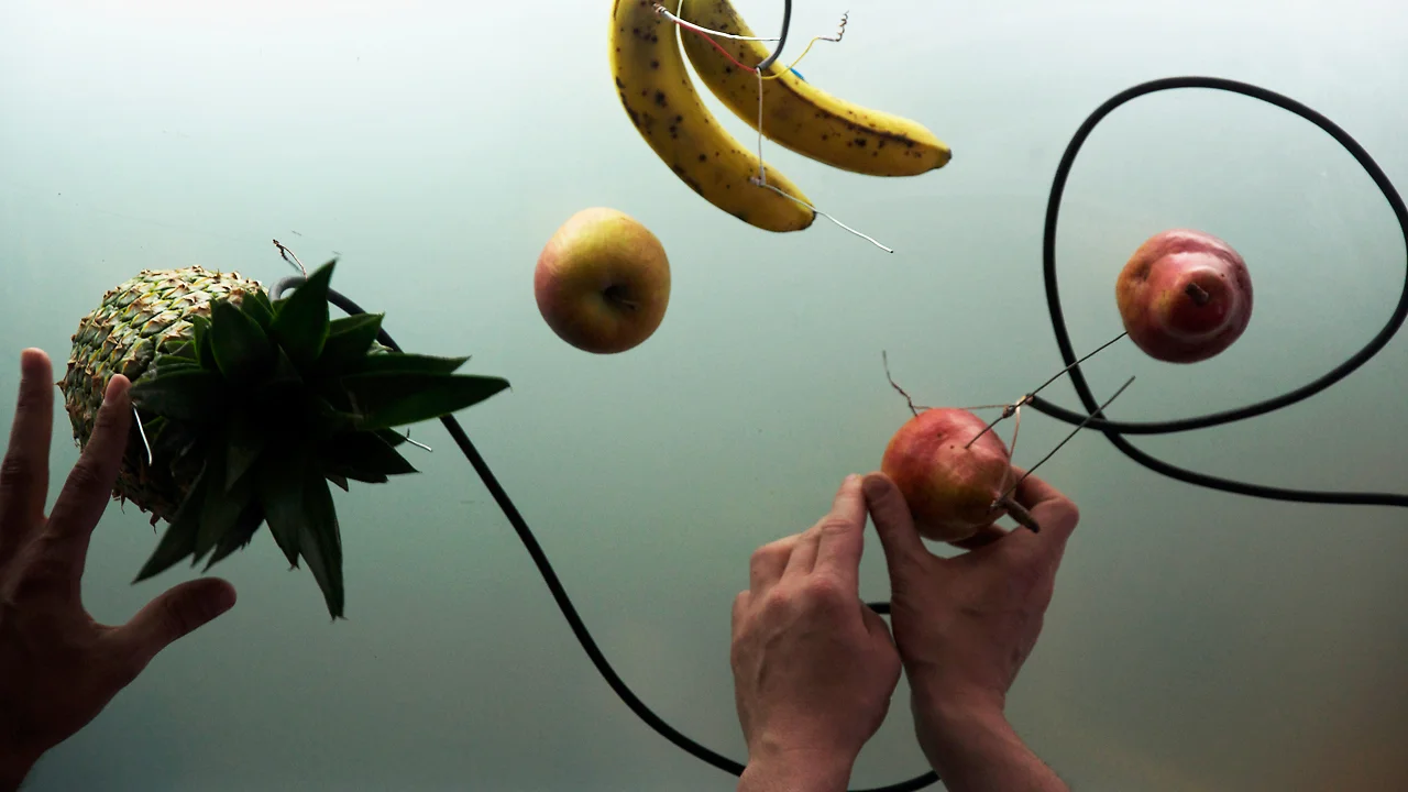 What Fruit Sounds Like, When You Turn Its Natural Electricity Into ...