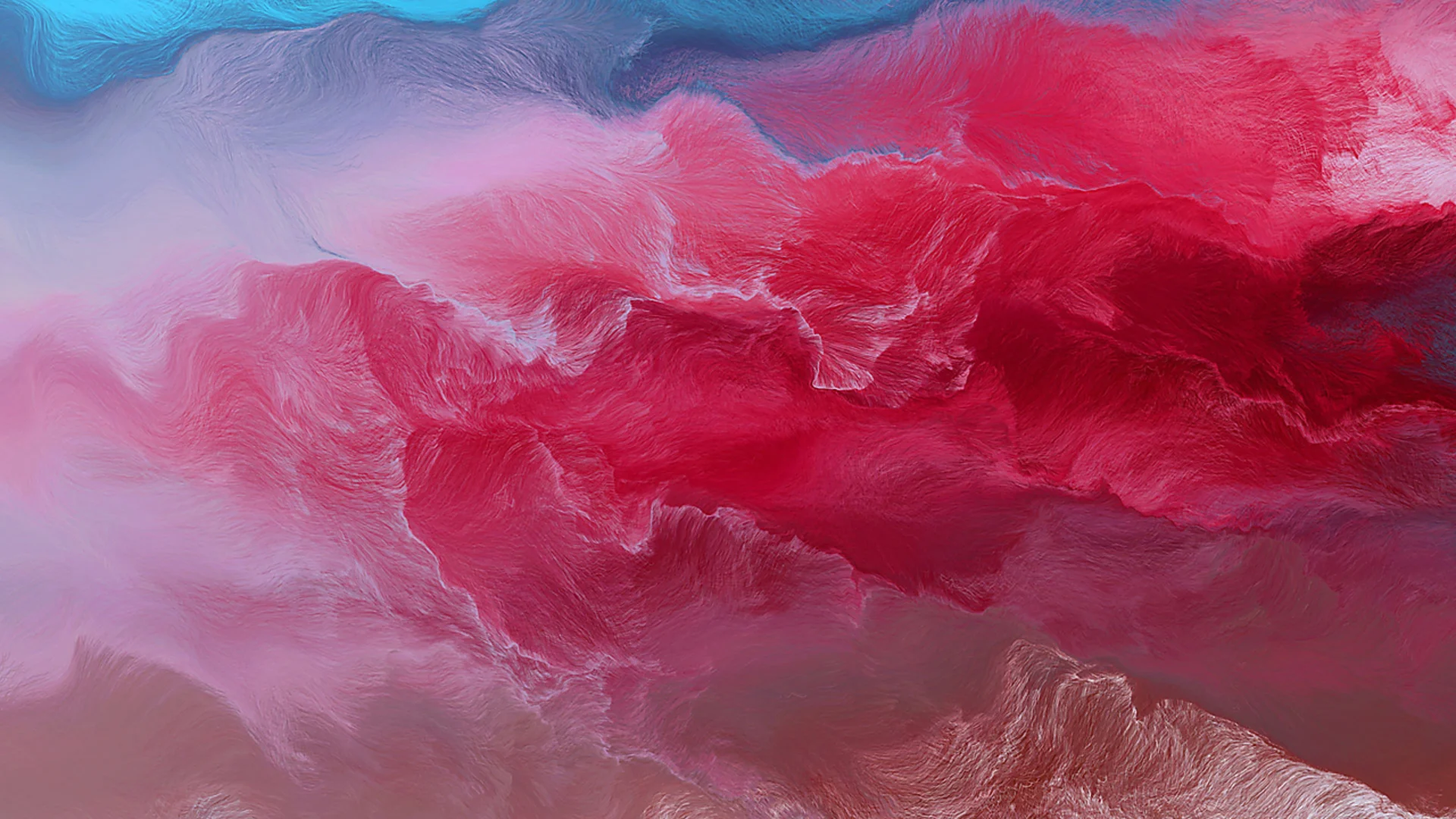 schwarm - Fast Company