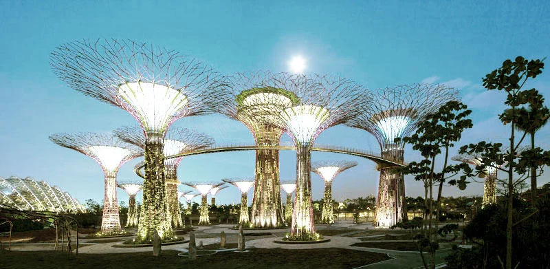Supertree Park Singapore Futuristic Supertrees At Gardens By The Bay,