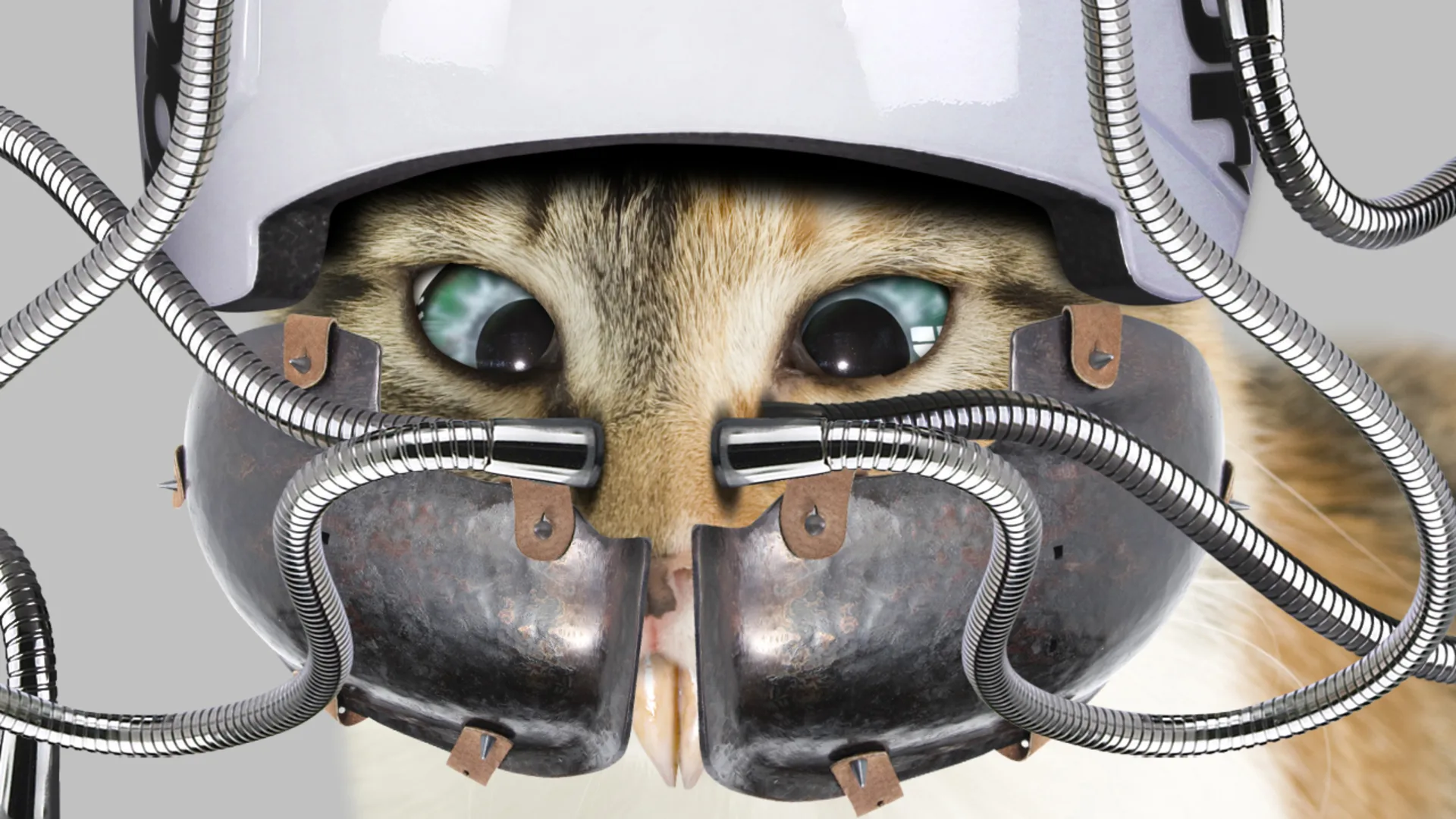 Pleix Envisions A Wacky, Not-So-Distant Consumer Future - Fast Company