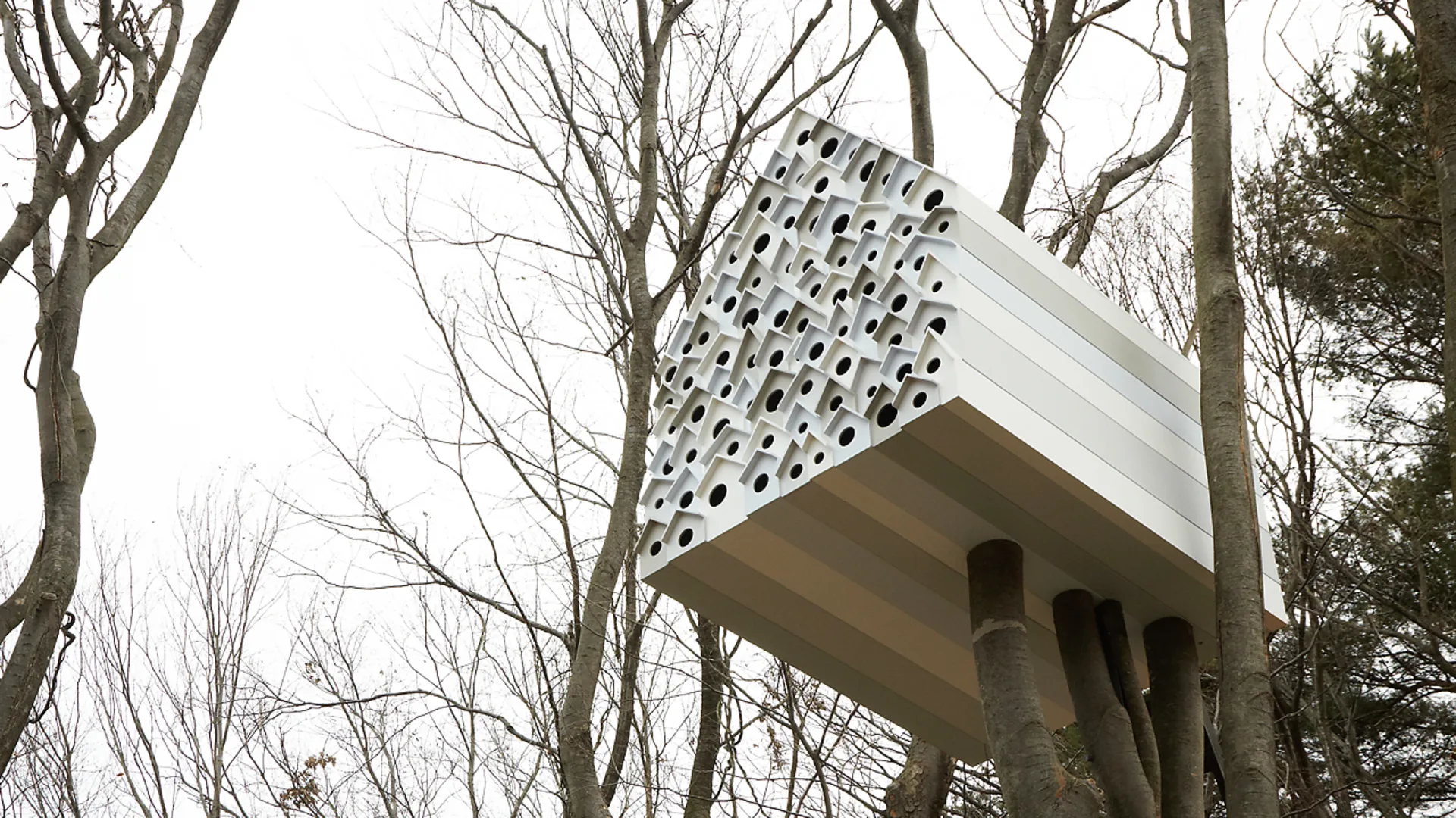 In A Japanese Forest, A Treehouse For Birds And People - Fast Company