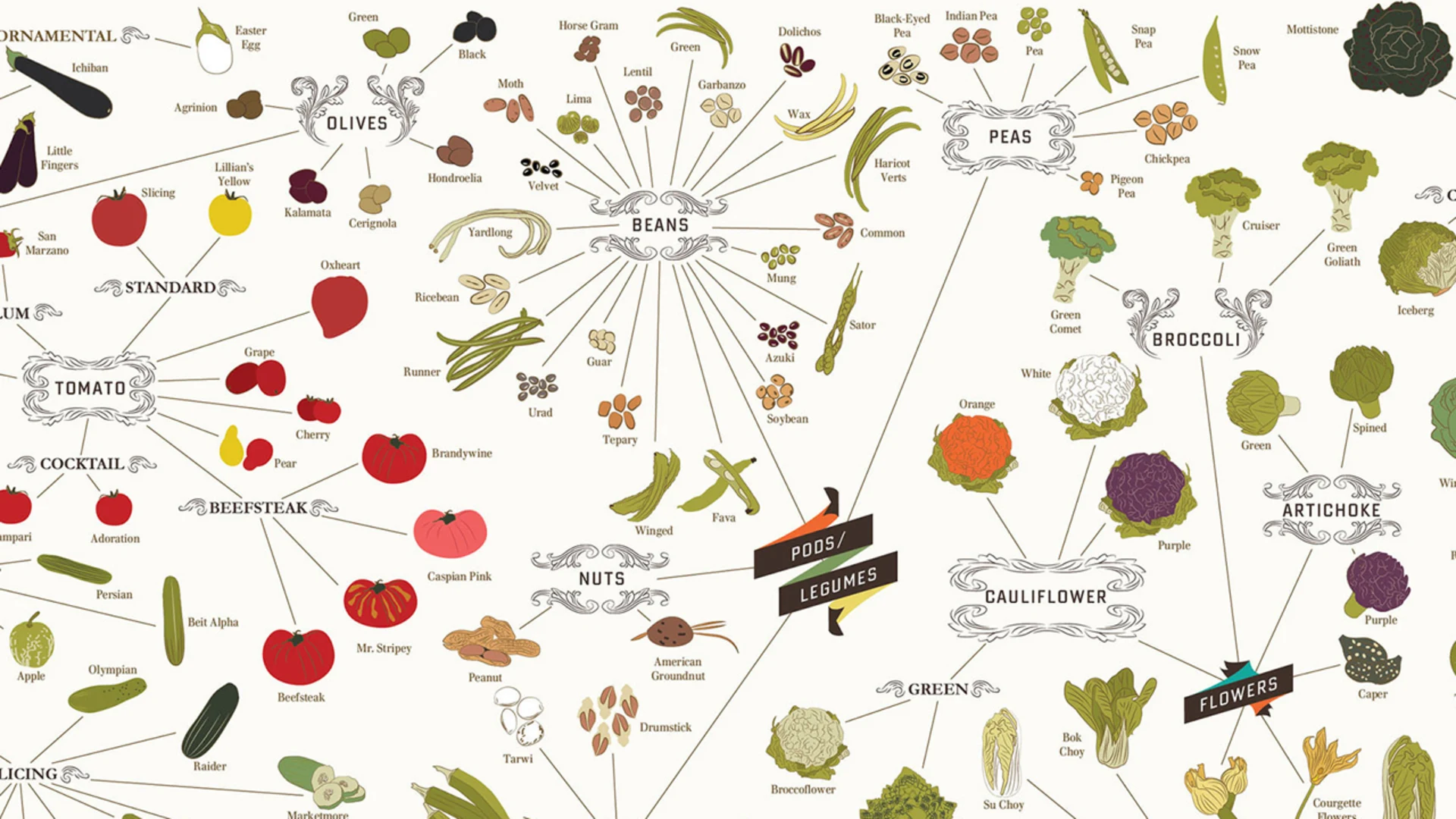 vegetables hd chart
