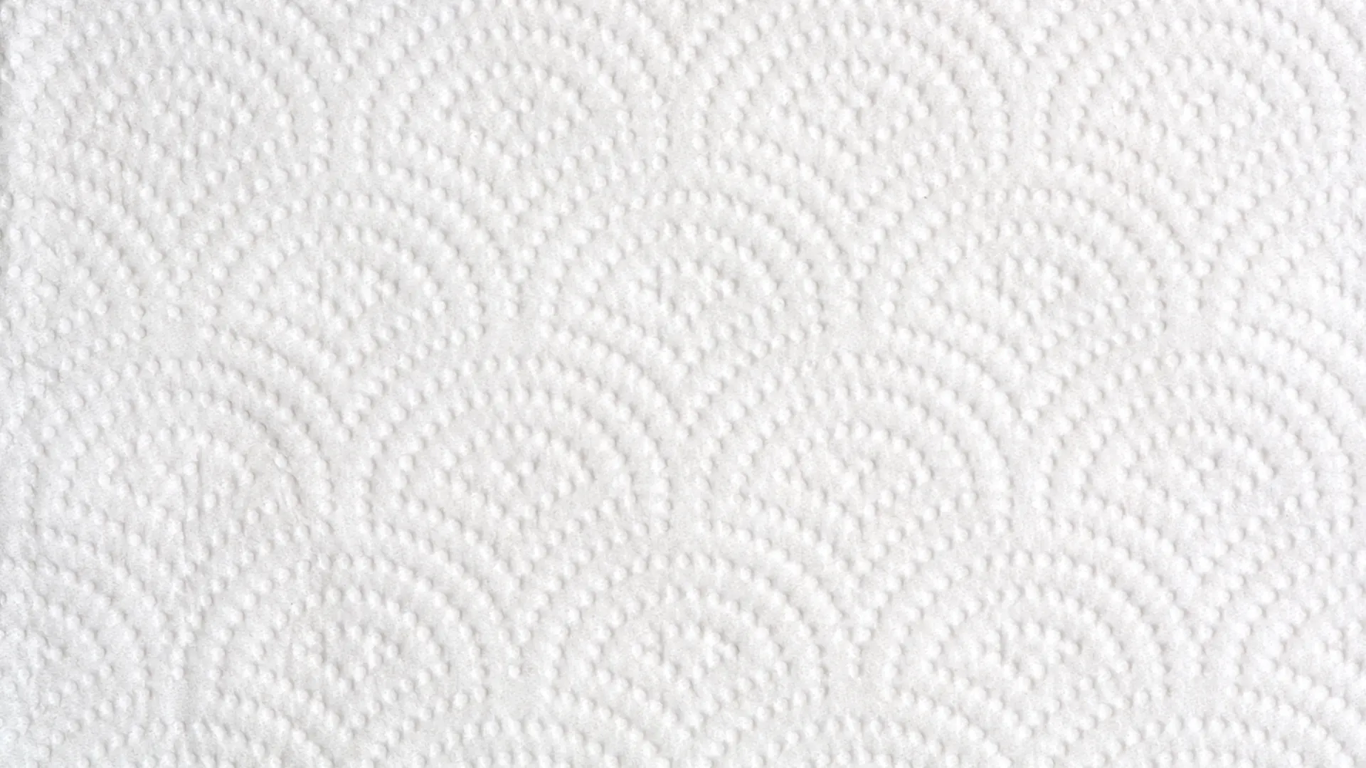 Infographic: Everything You Were Afraid To Ask About Poop - Fast Company