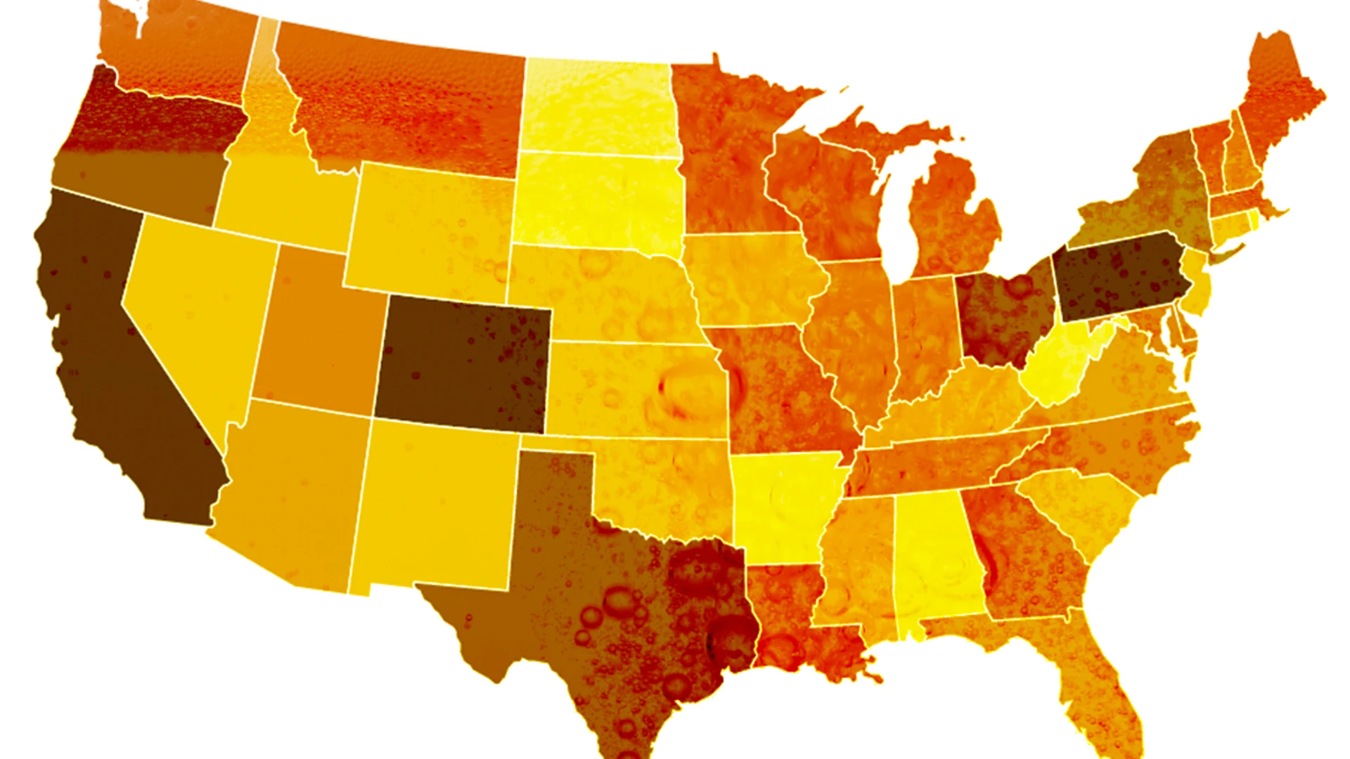 A Glorious Map Of Craft Beer Across The U.S. - Fast Company