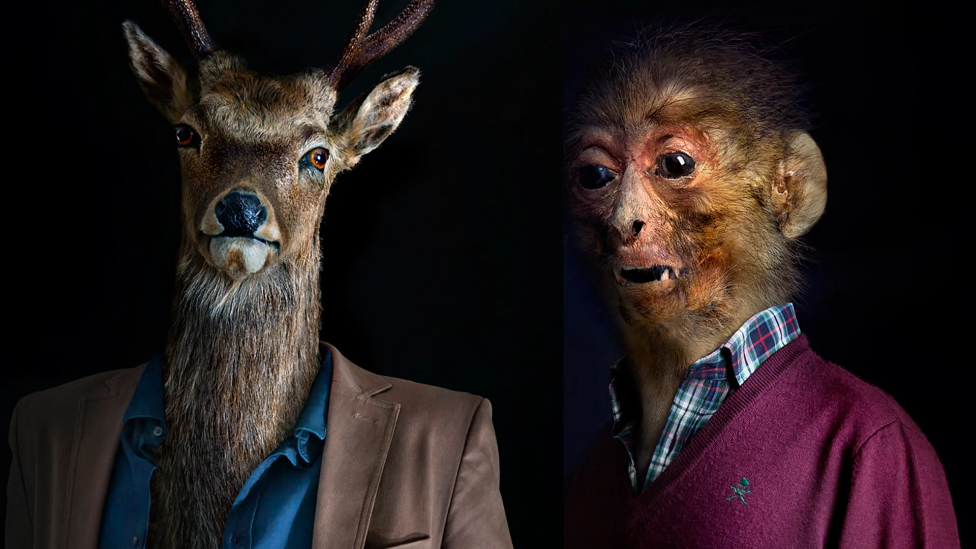 animals as people - Fast Company