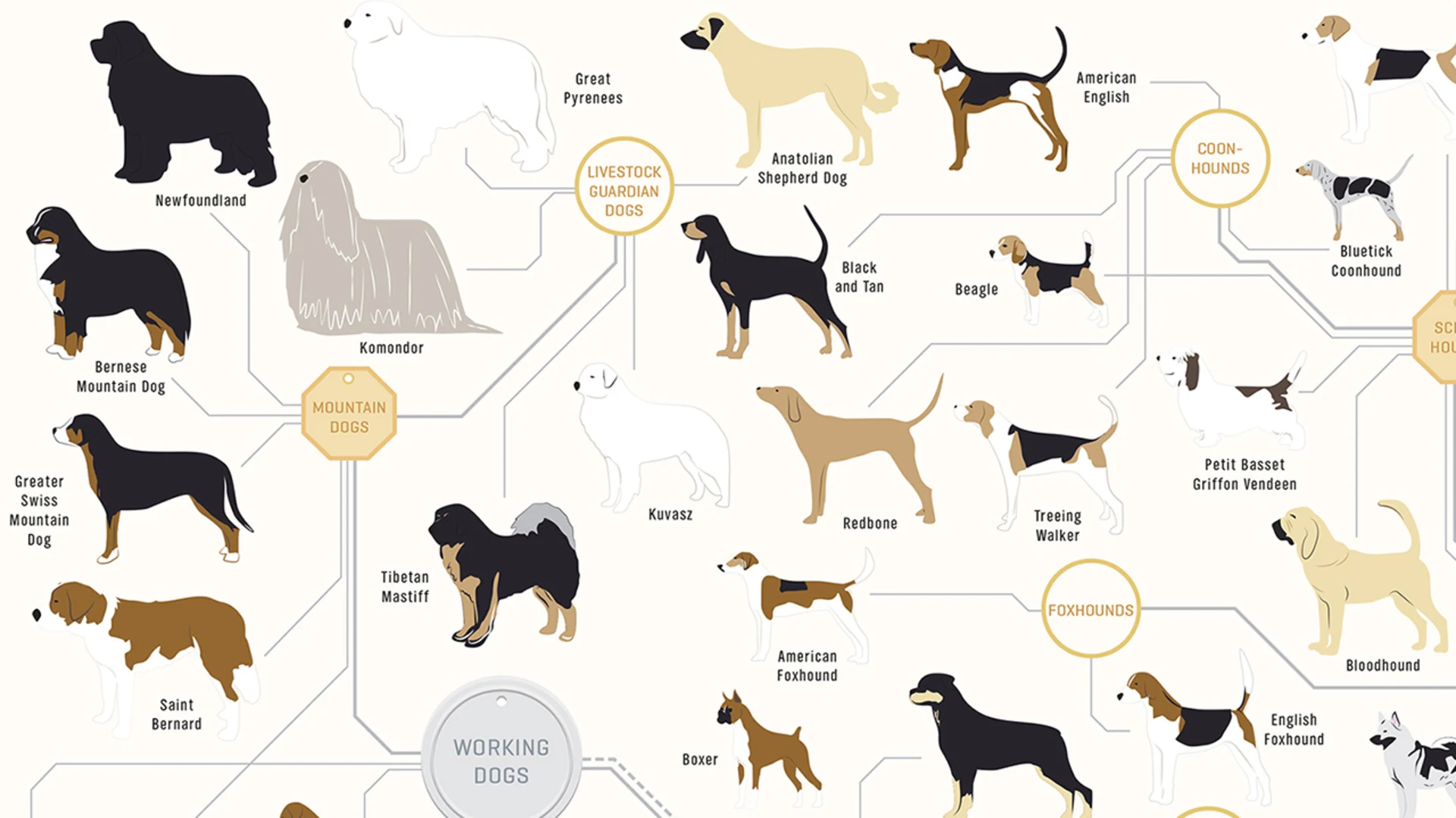 181 Breeds Of Dog On One Awesome Poster - Fast Company