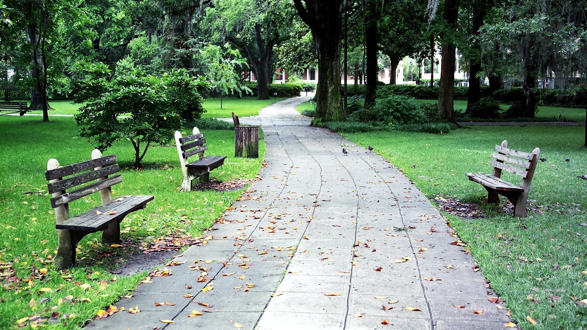 Elizabeth Decker - Fast Company