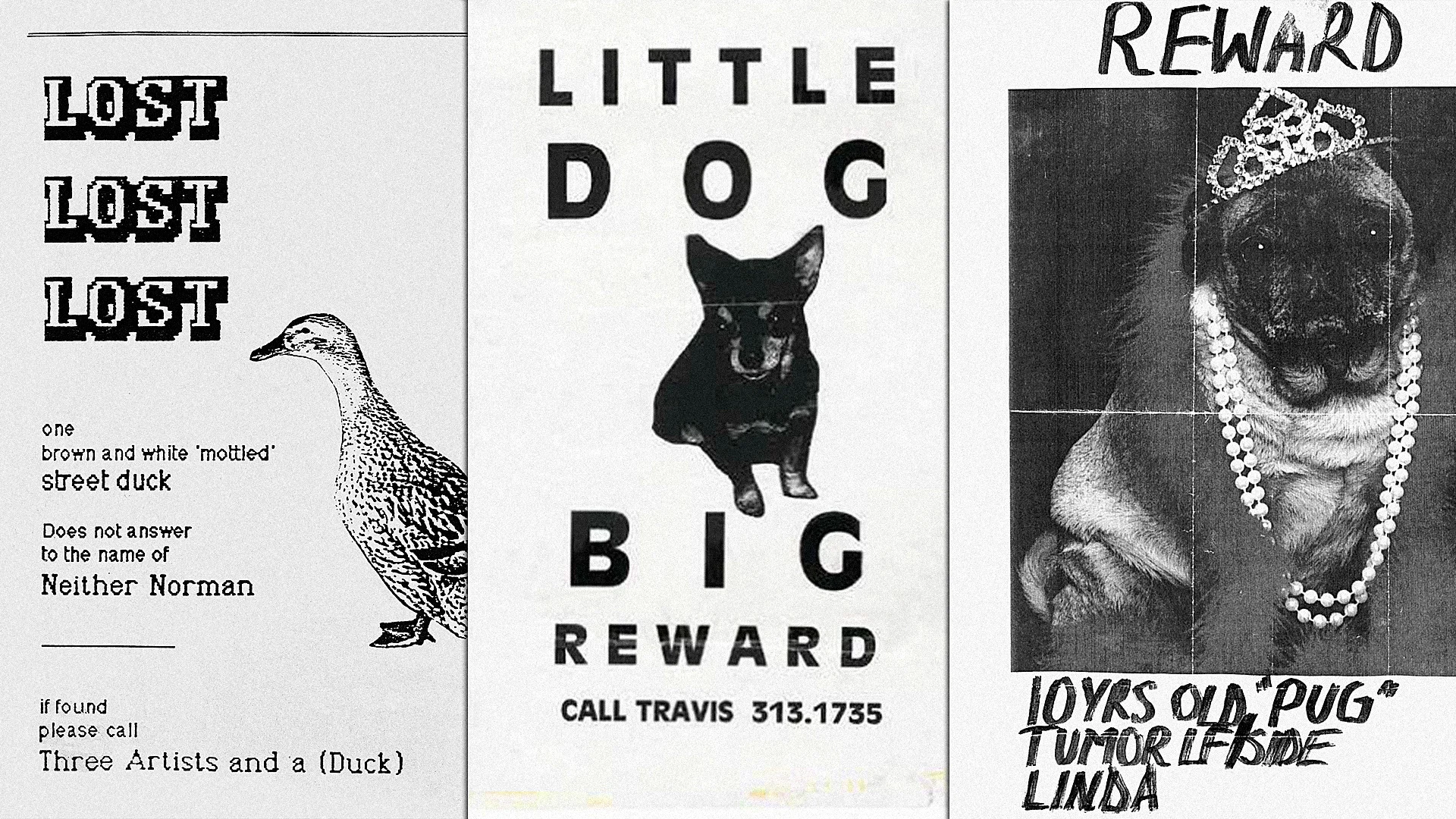 Missing Pet Posters From Around The World Are Weirdly Moving DIY ...