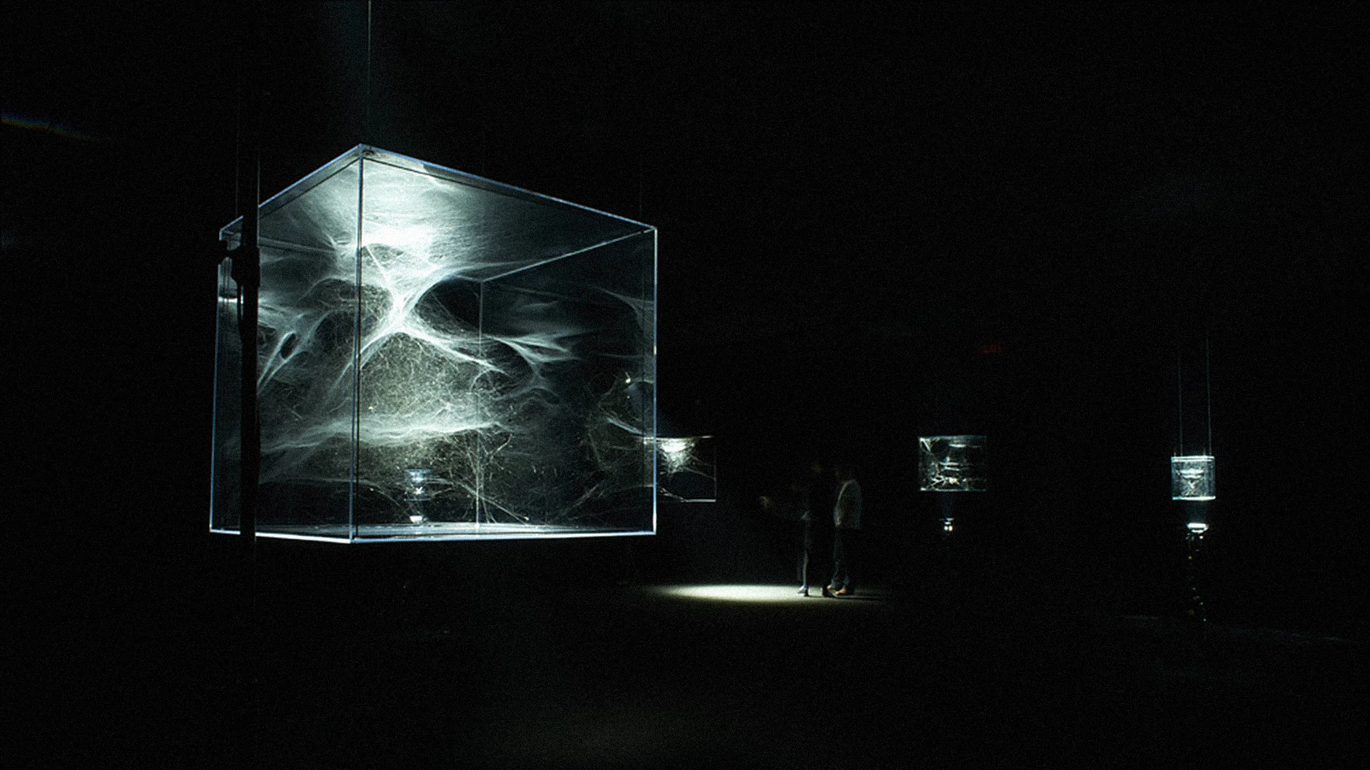 Artist Turns Spider Webs Into Haunting Sculptures - Fast Company