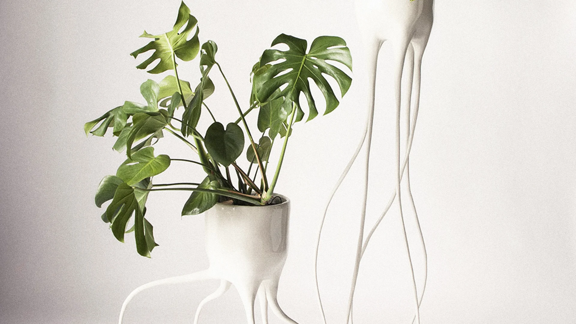 These Root-Inspired Planters Look Ready To Crawl Away - Fast Company