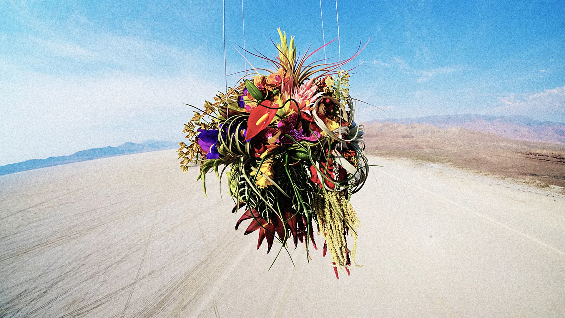 The Lush Art Of Azuma Makoto, Who Launched Flowers Into Space - Fast ...