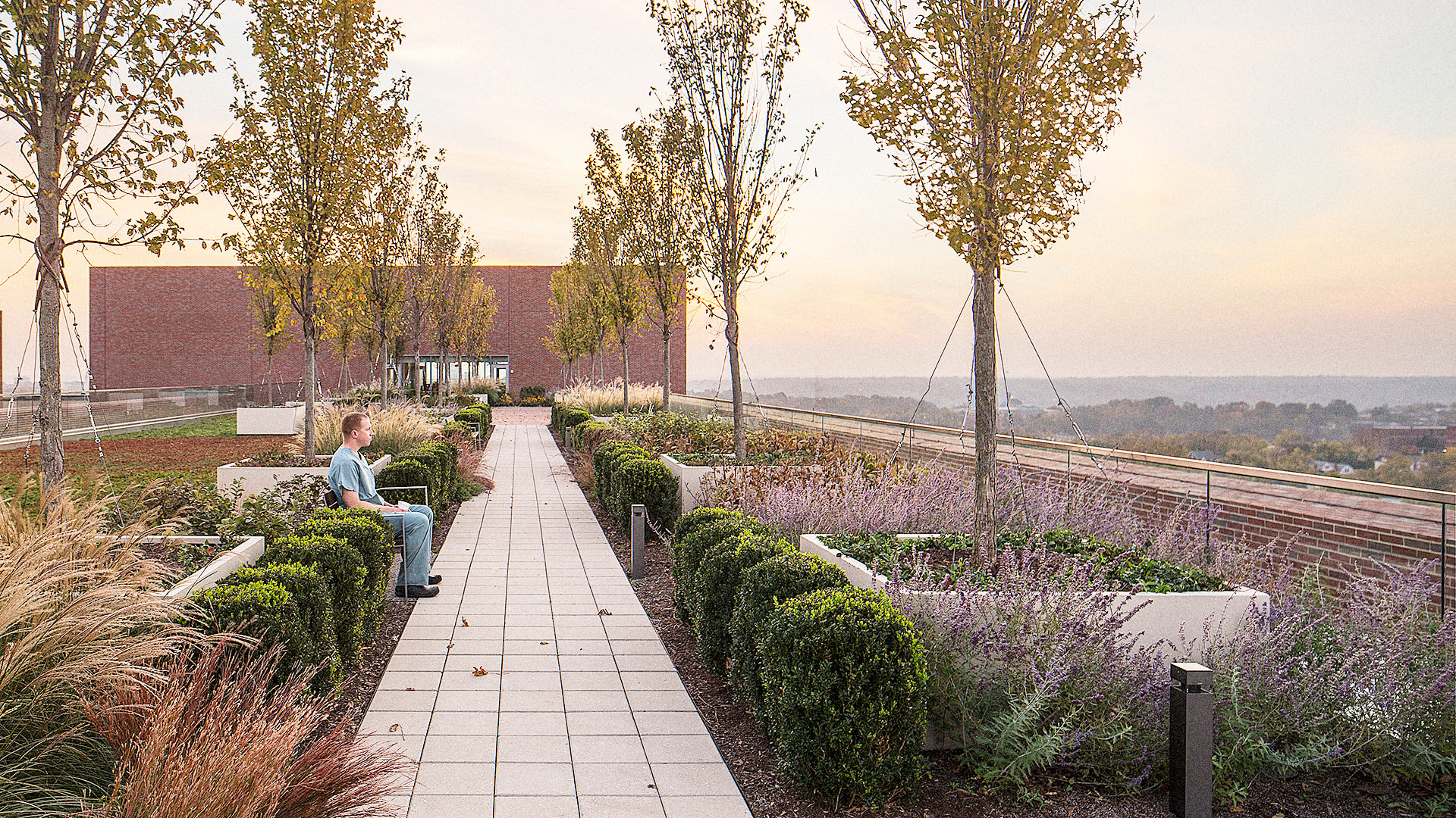 The Best New Health Care Design Borrows An Old Healing Technique ...